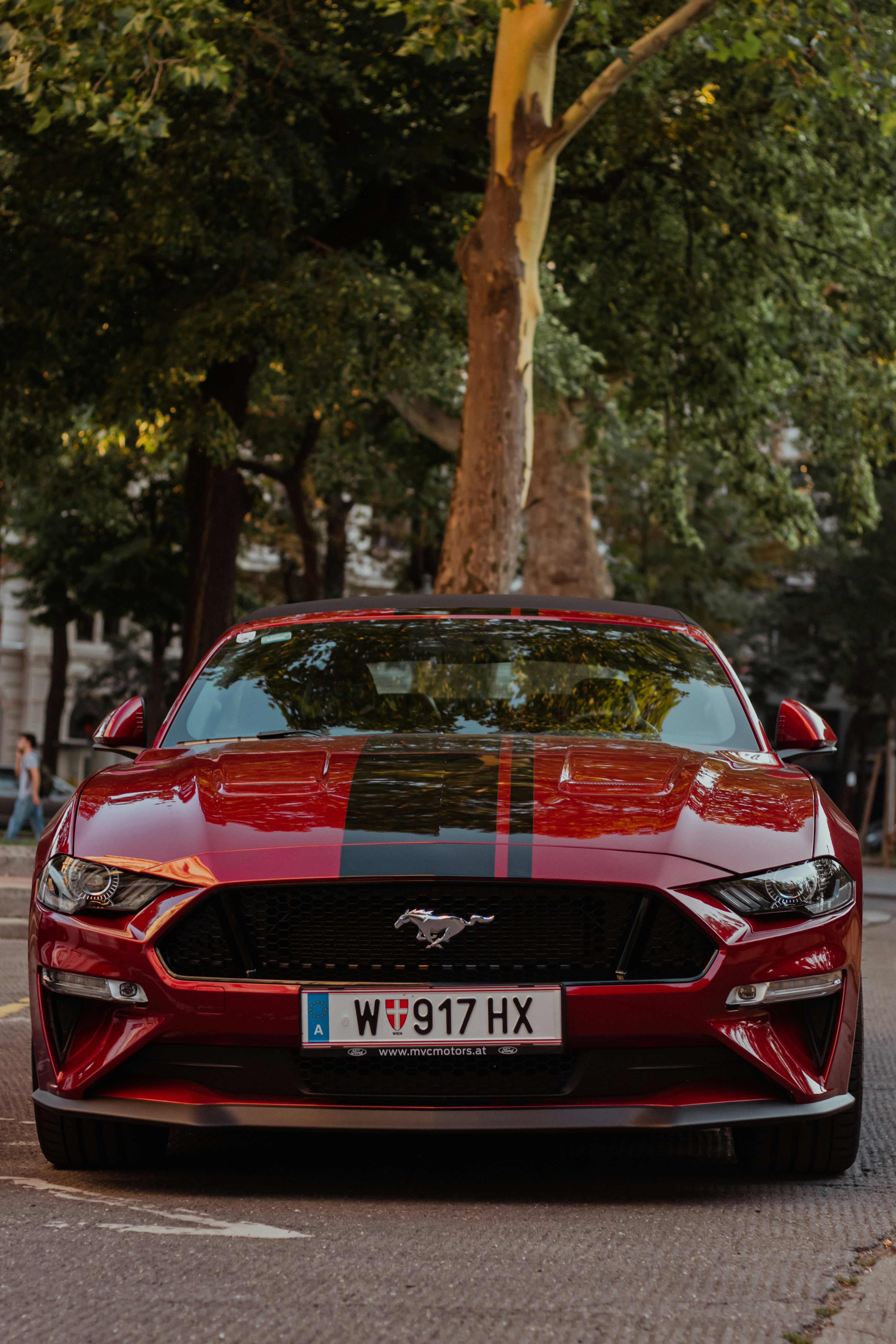 Scarlet Mustang under Urban Canopy: Hood Stripe Portrait