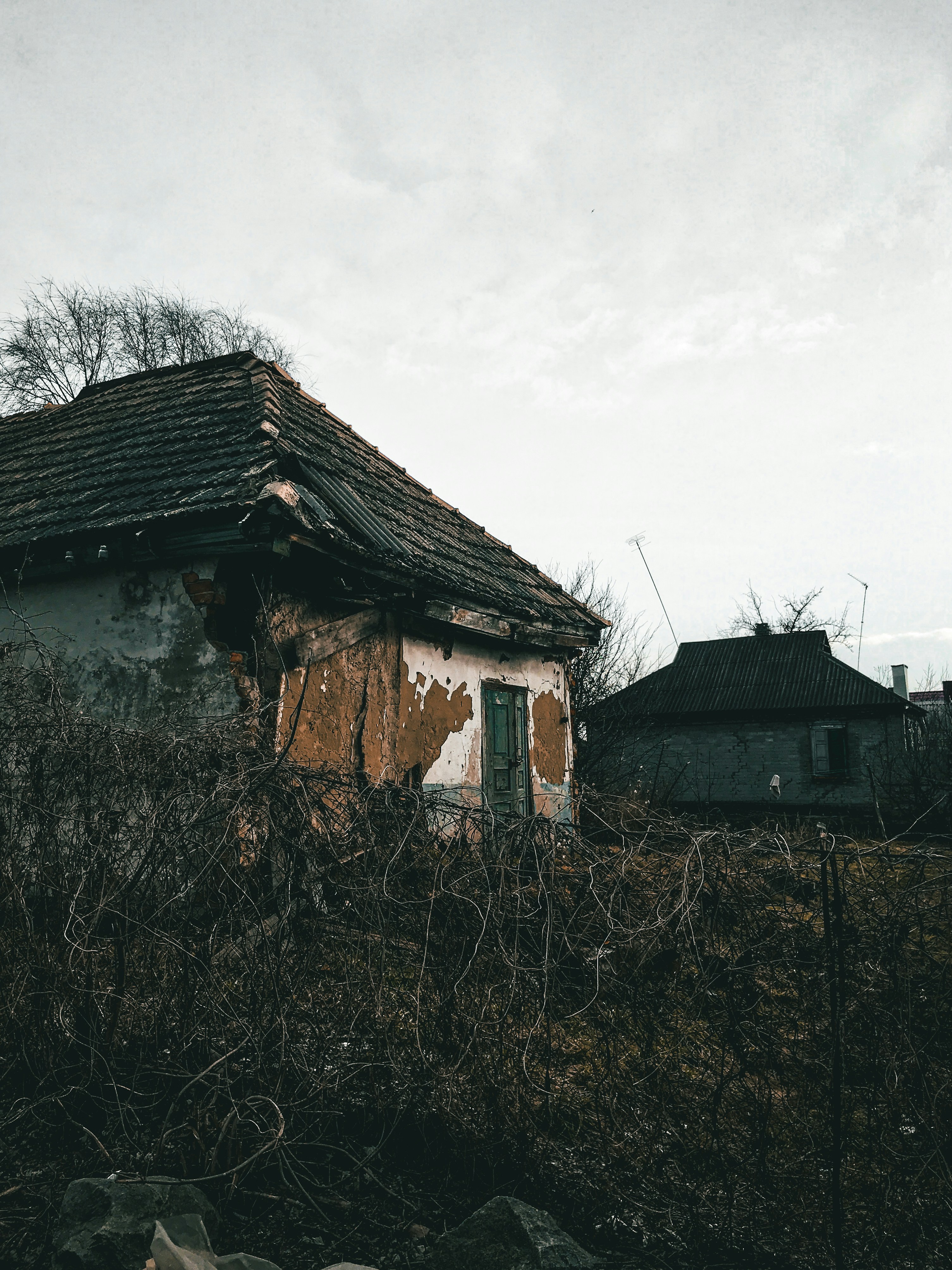 Dilapidated house enveloped by overgrown vines, showcasing the passage of time and nature's reclamation. The somber sky adds to the atmosphere of neglect.