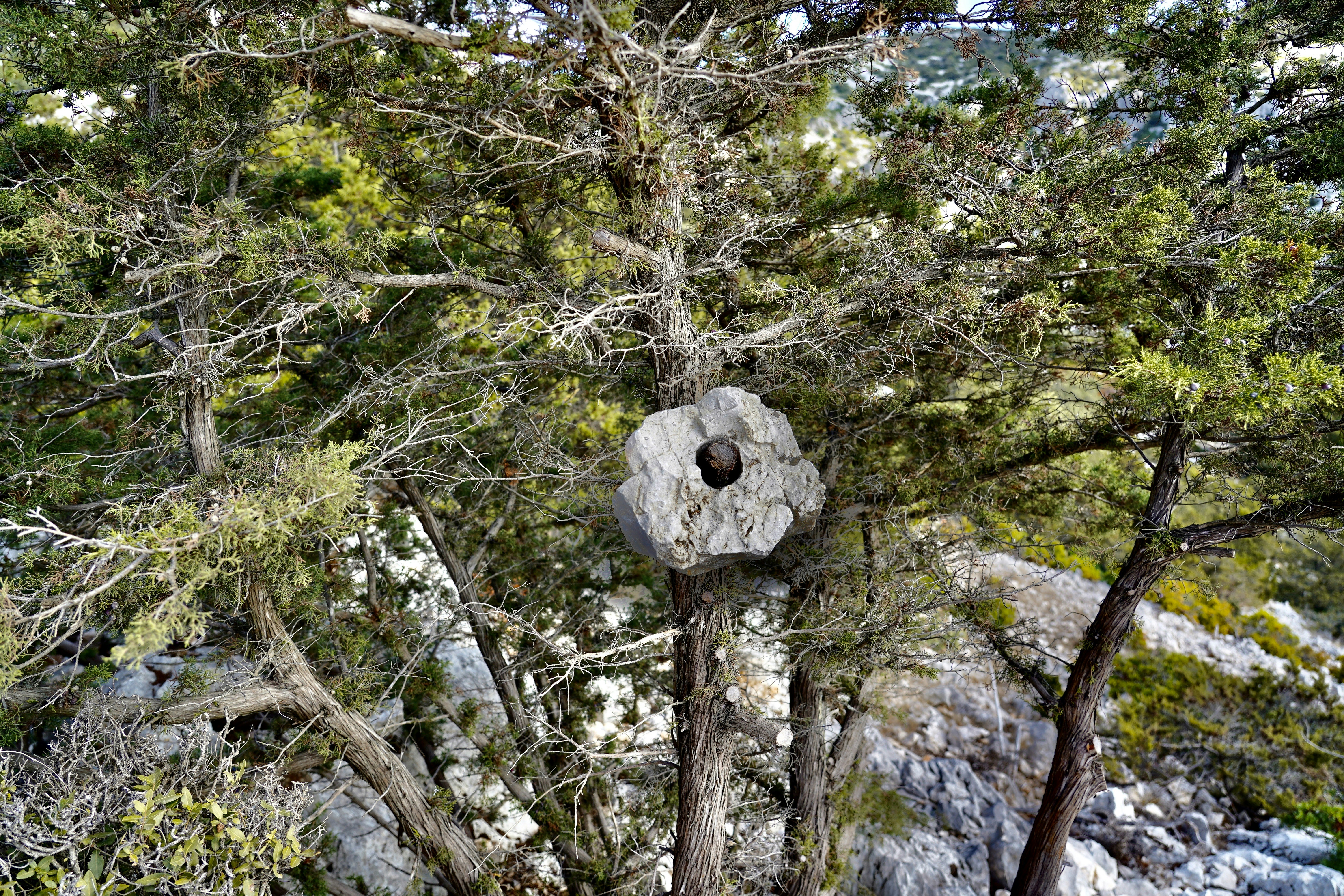 Sardinien, Dorgali, Golf von Orosei,