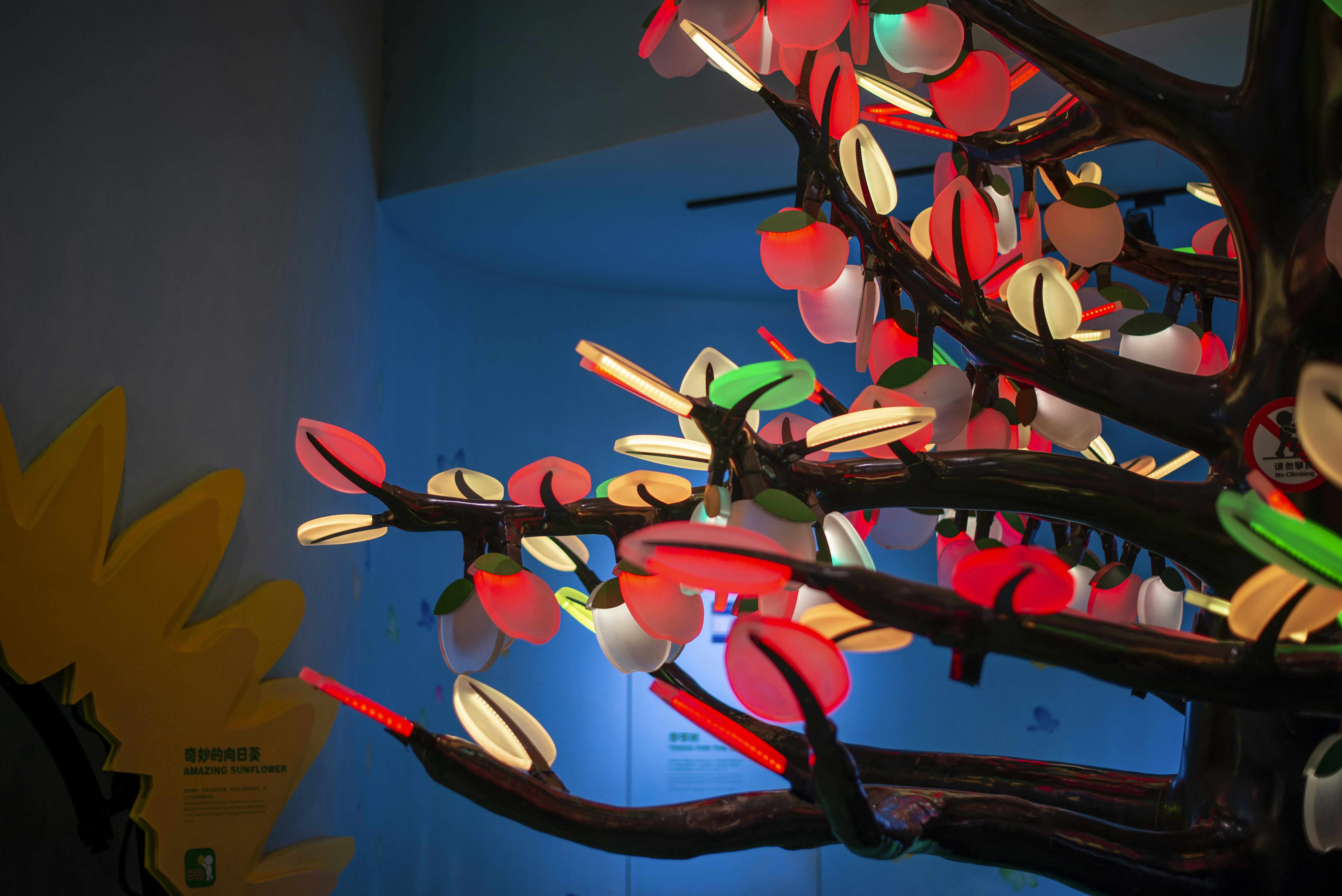 Un tas de lumières qui sont sur un arbre photo – Photo Shanghai ...