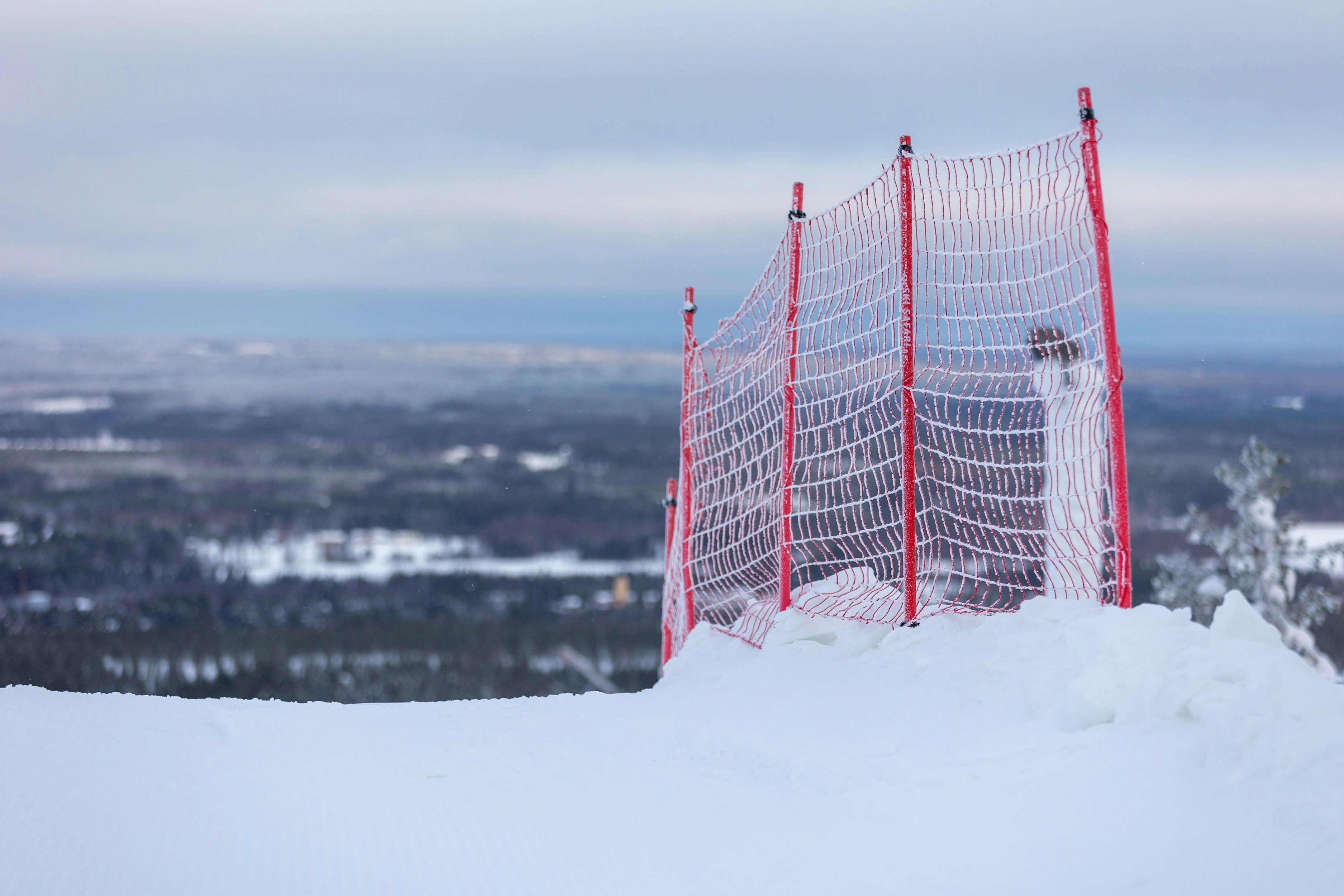 Crimson Netting at the Edge of a Quiet Winter Summit