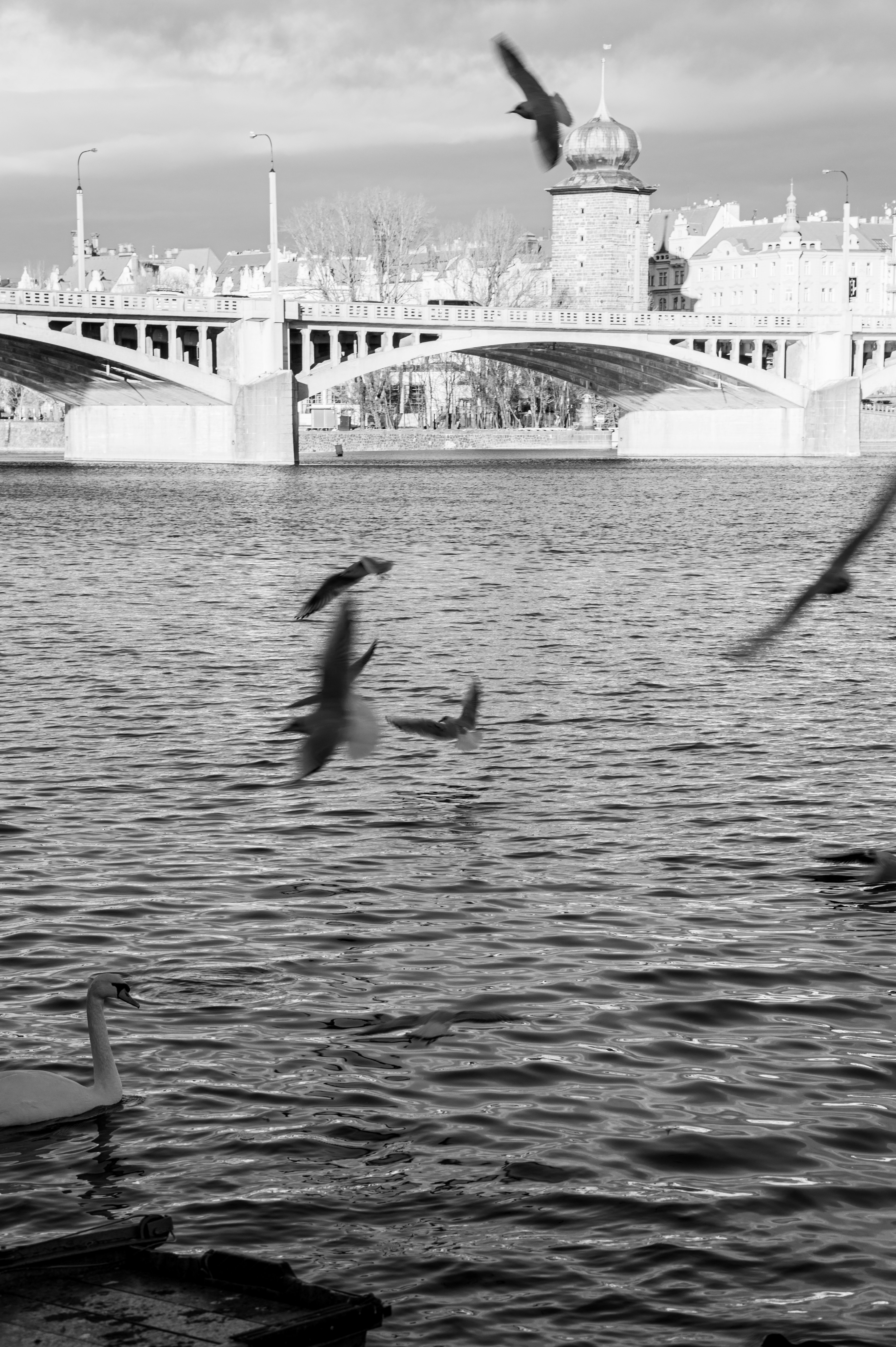 Winged Echoes Over the Arched Bridge and Domed Tower