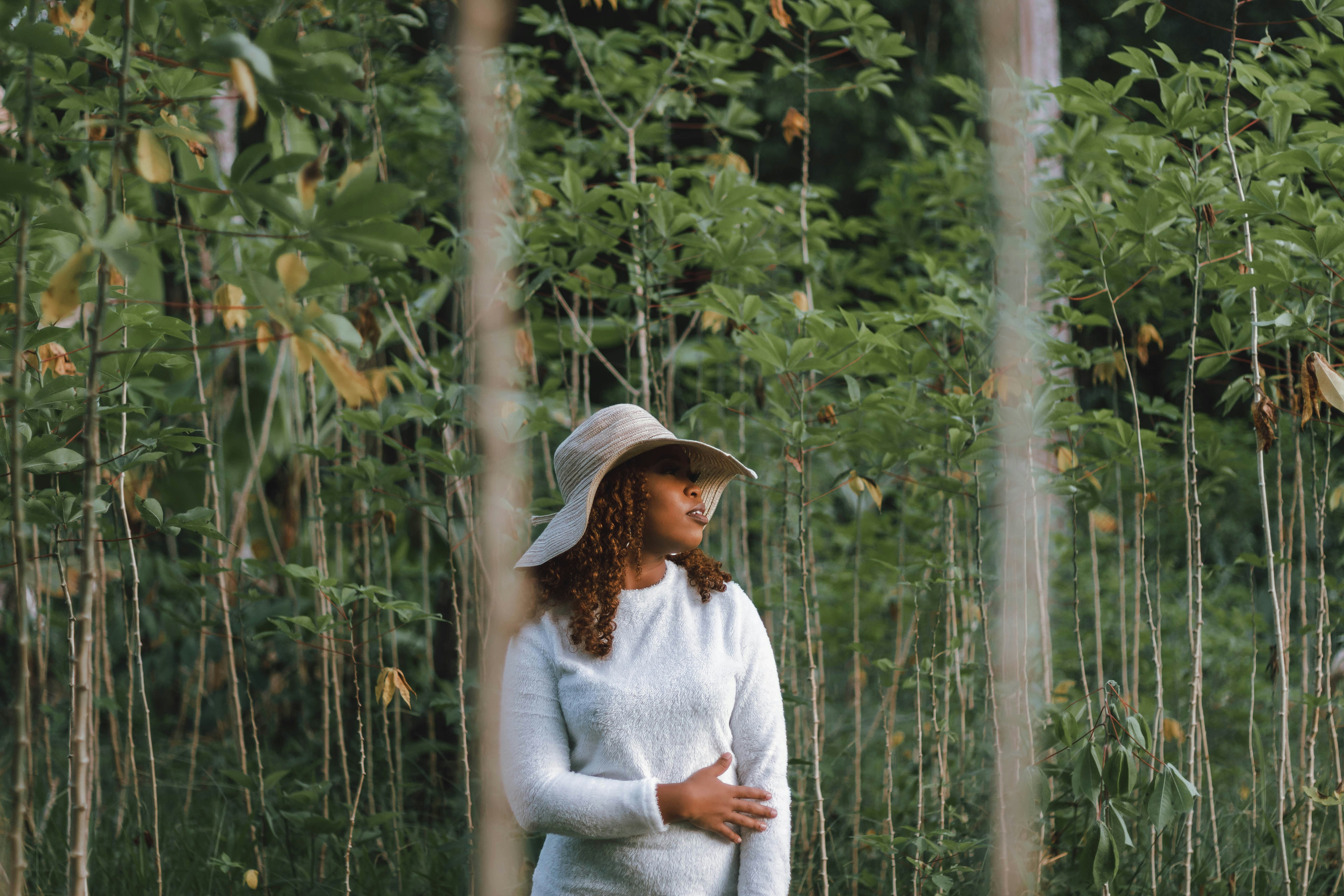Dappled Quiet: Portrait Amid Slender Forest Whispers