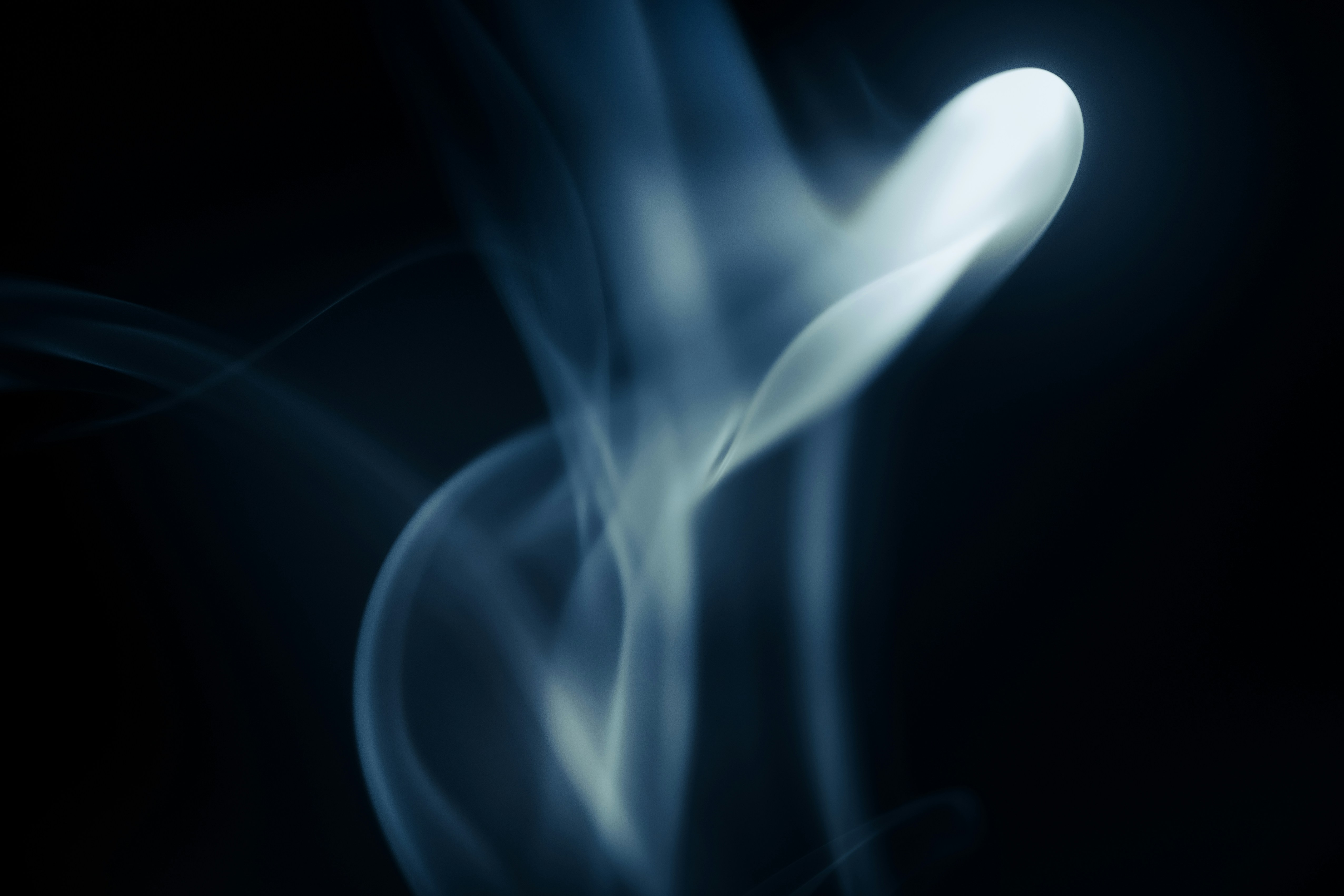 A blurry photo of a white object on a black background photo – Free ...