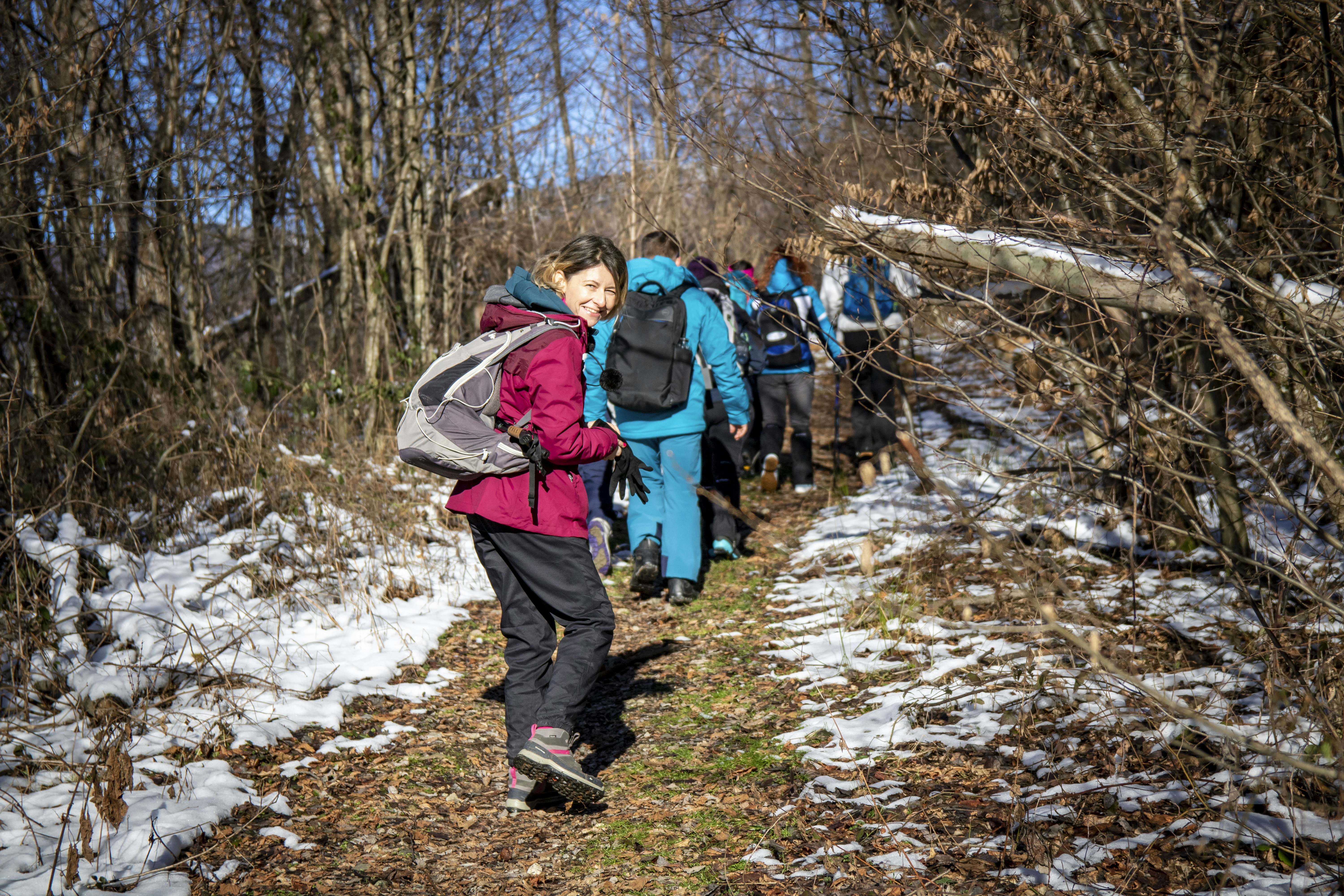 Marching Through Snow: a Line of hikers along a sunlit woodland path