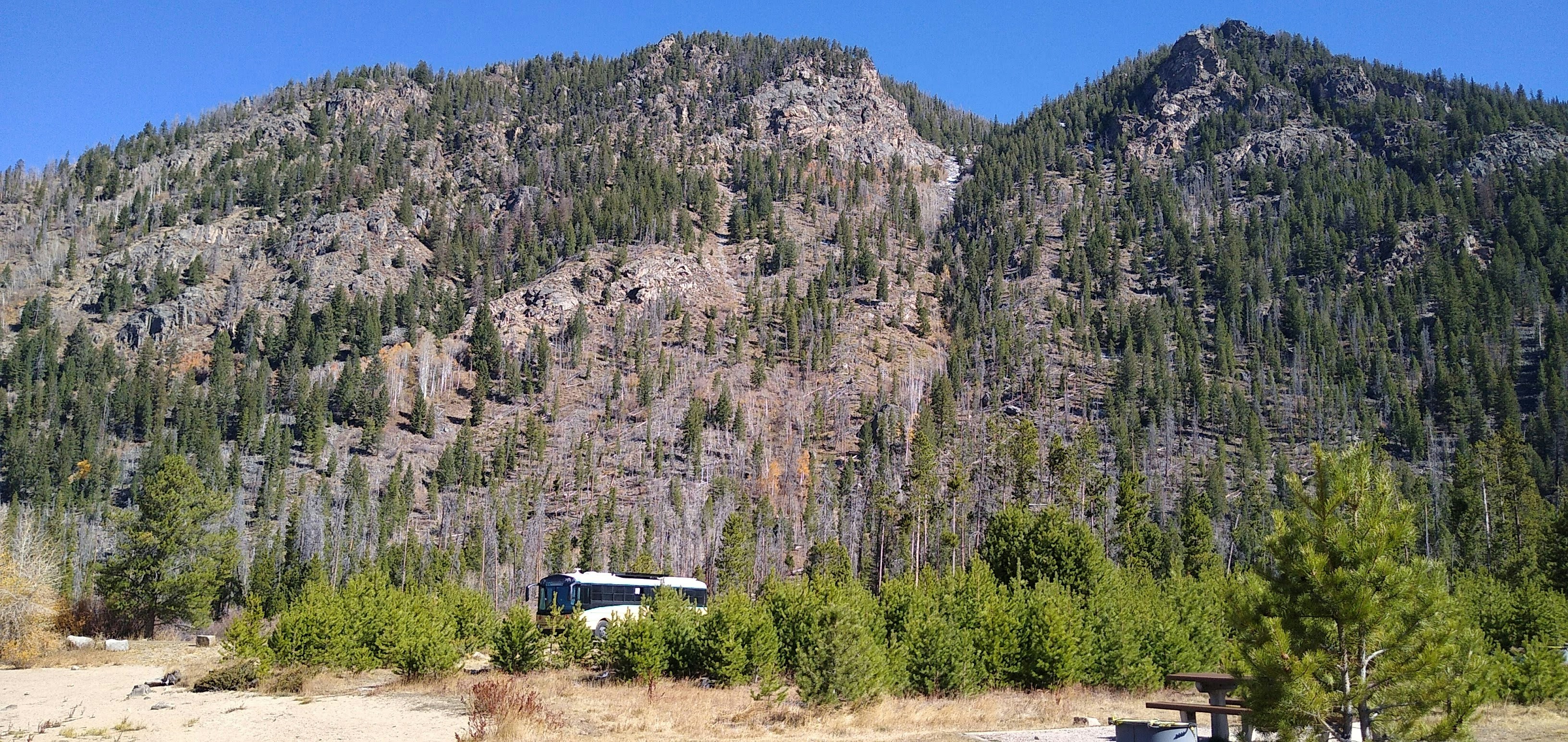 Converted school bus nestled among pine trees with rugged mountain backdrop under clear blue sky.