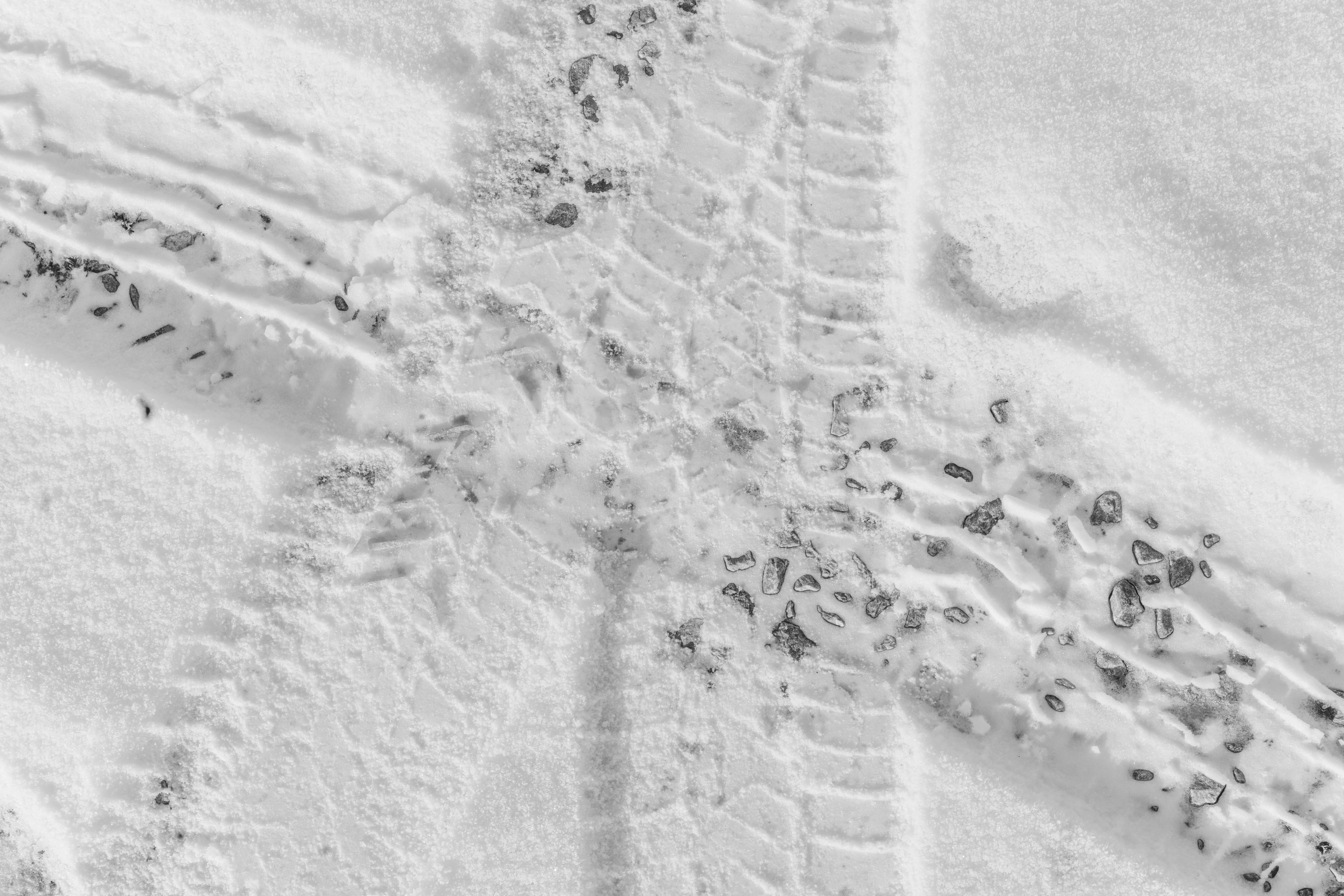 Tire tracks crisscrossing in freshly fallen snow.