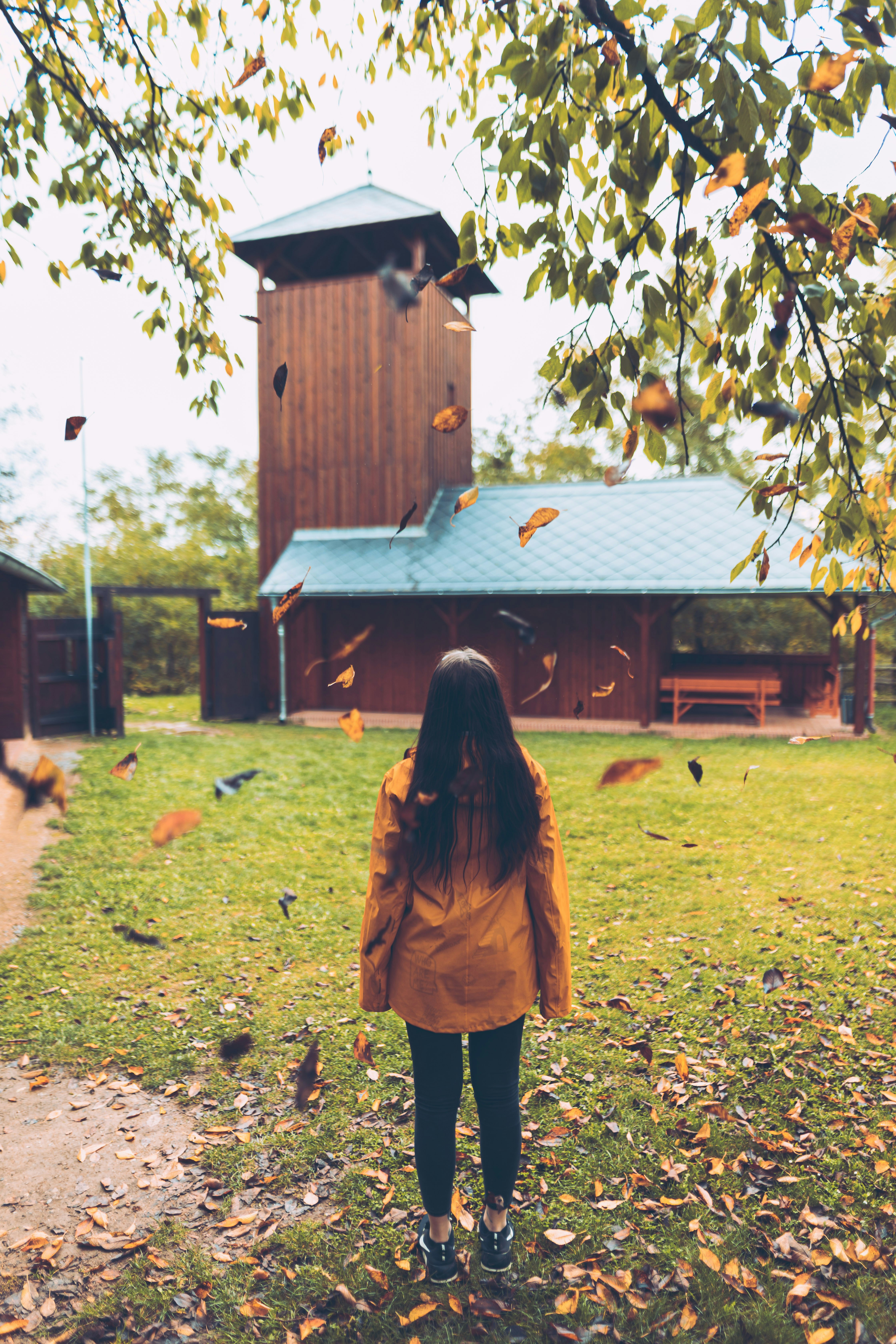 Autumn Reverie by the Timber Tower