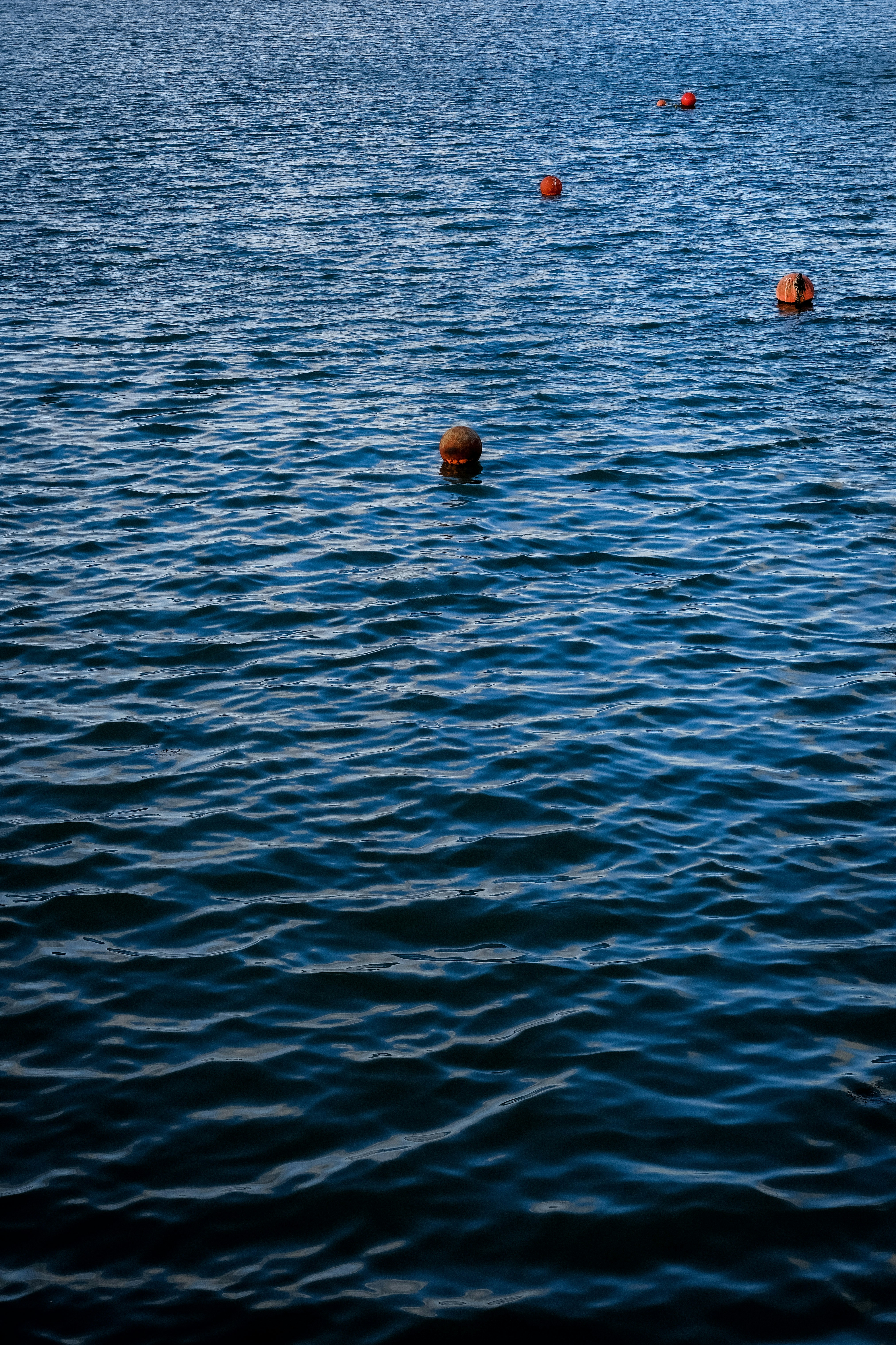 a large body of water with orange buoys floating in it
