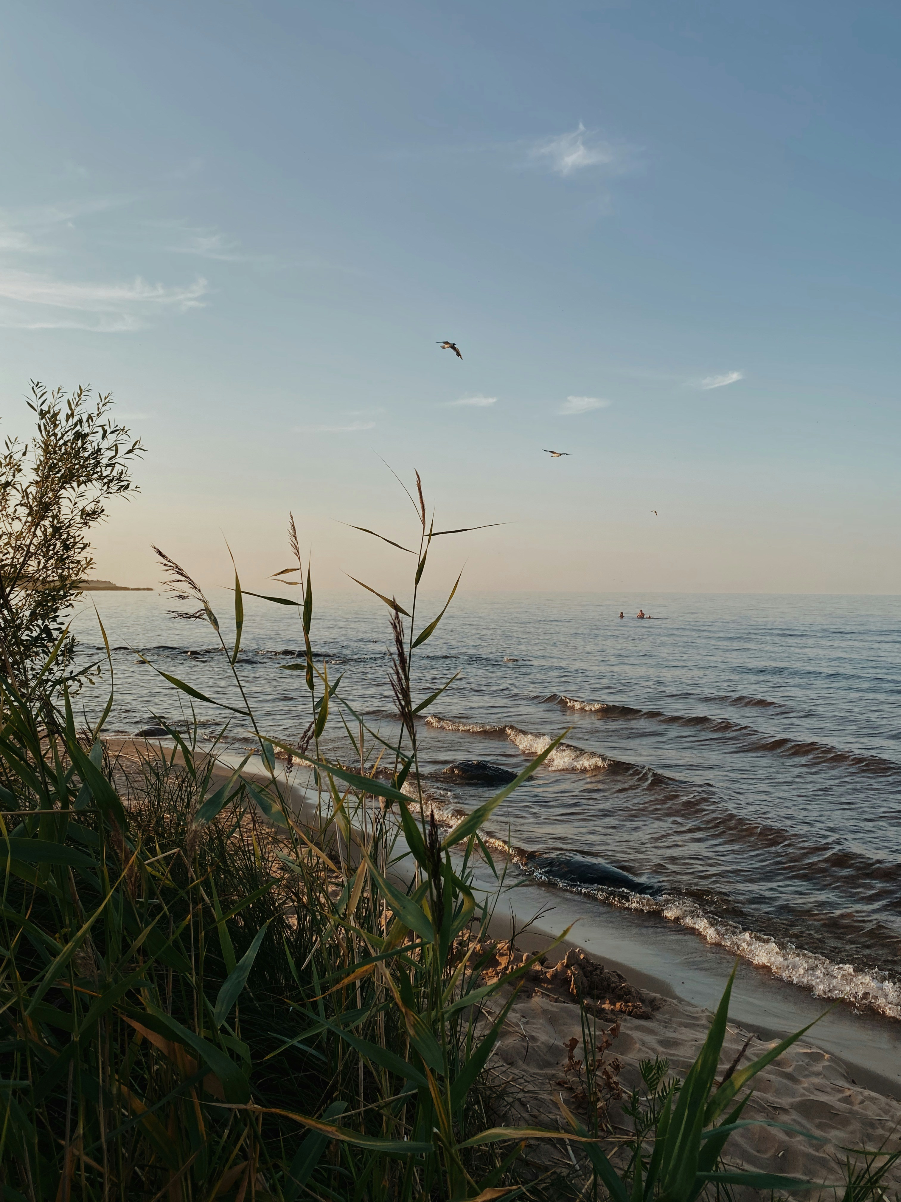 Foto zum Thema Blick auf das Meer vom Ufer eines Strandes – Kostenloses ...