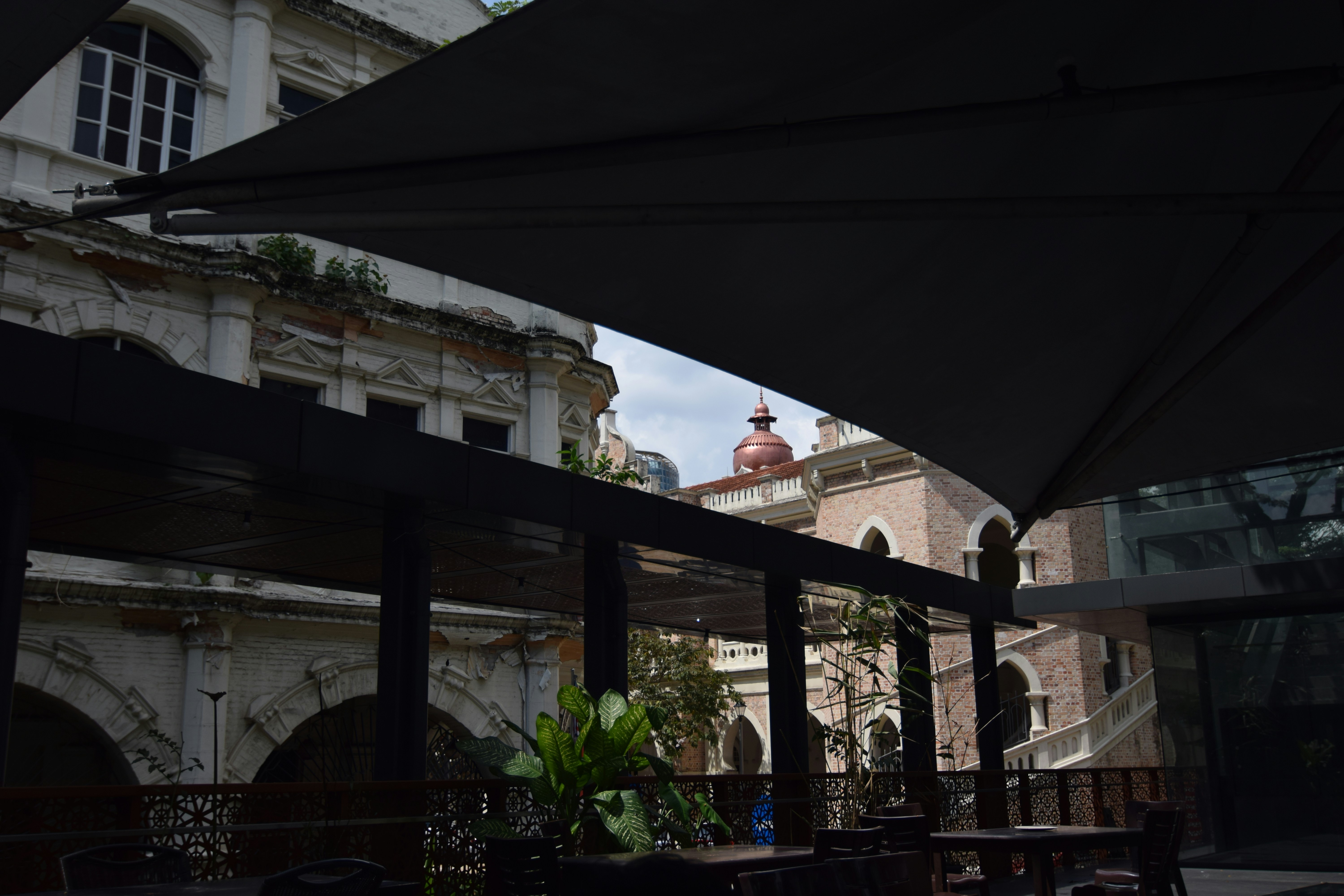 Verdant Focal Under Arcades: A Café Courtyard in Shadowed Light
