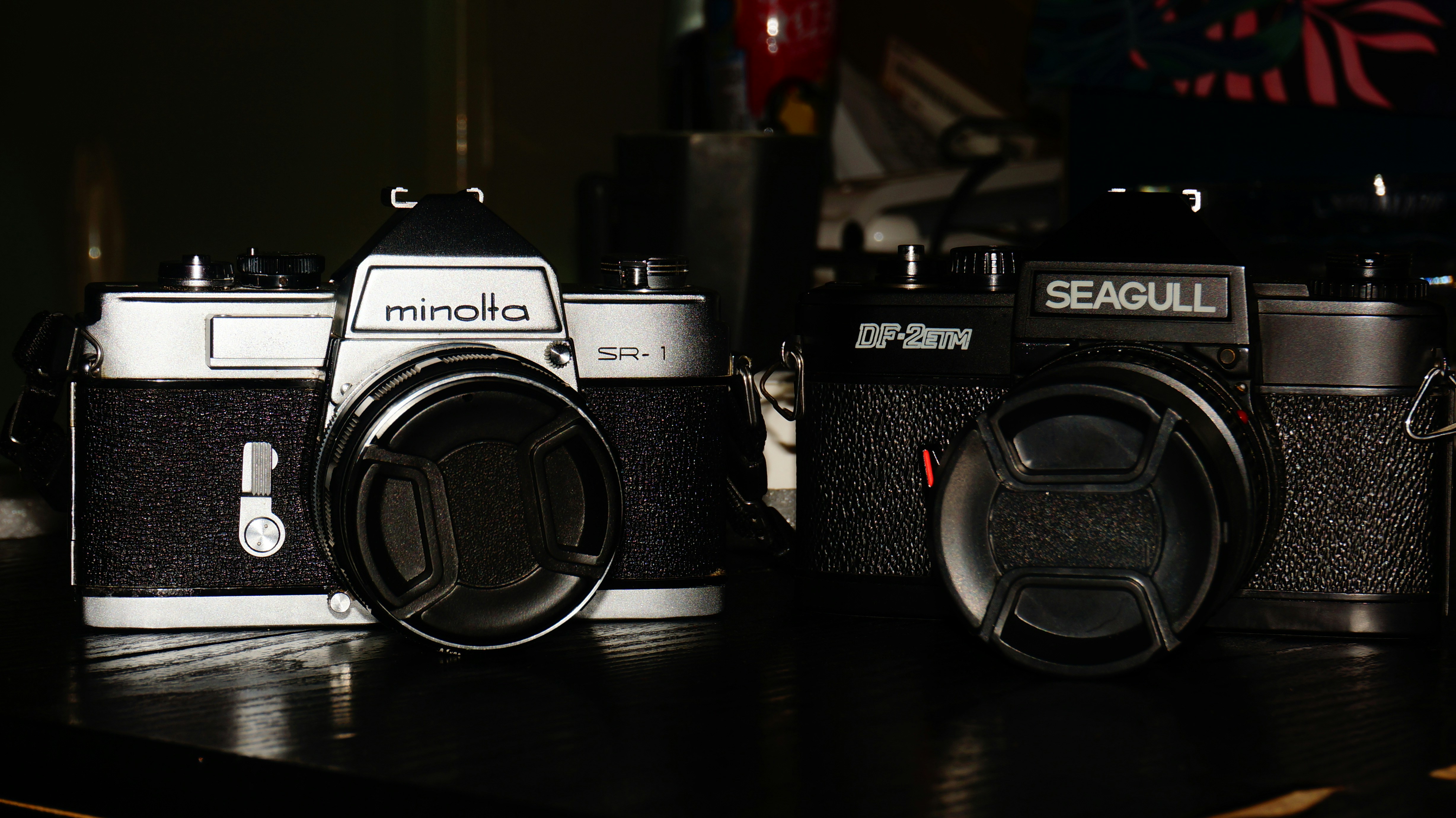 Two Vintage SLRs on a Quiet Shelf: Minolta SR-1 and Seagull under Dim Light
