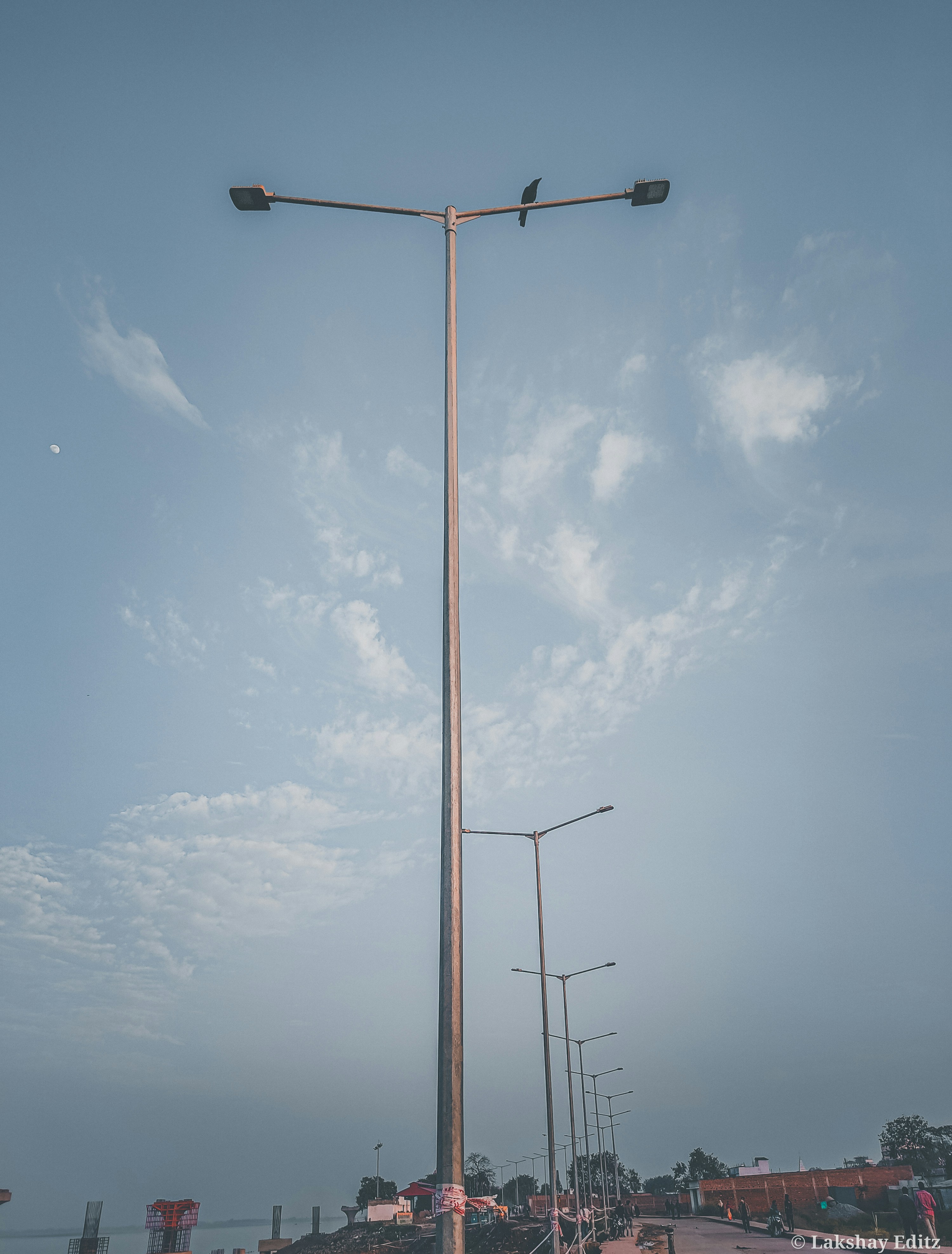 A tall streetlight stands against a serene sky, with a solitary bird perched on its arm. The scene captures the juxtaposition of urban infrastructure and nature.