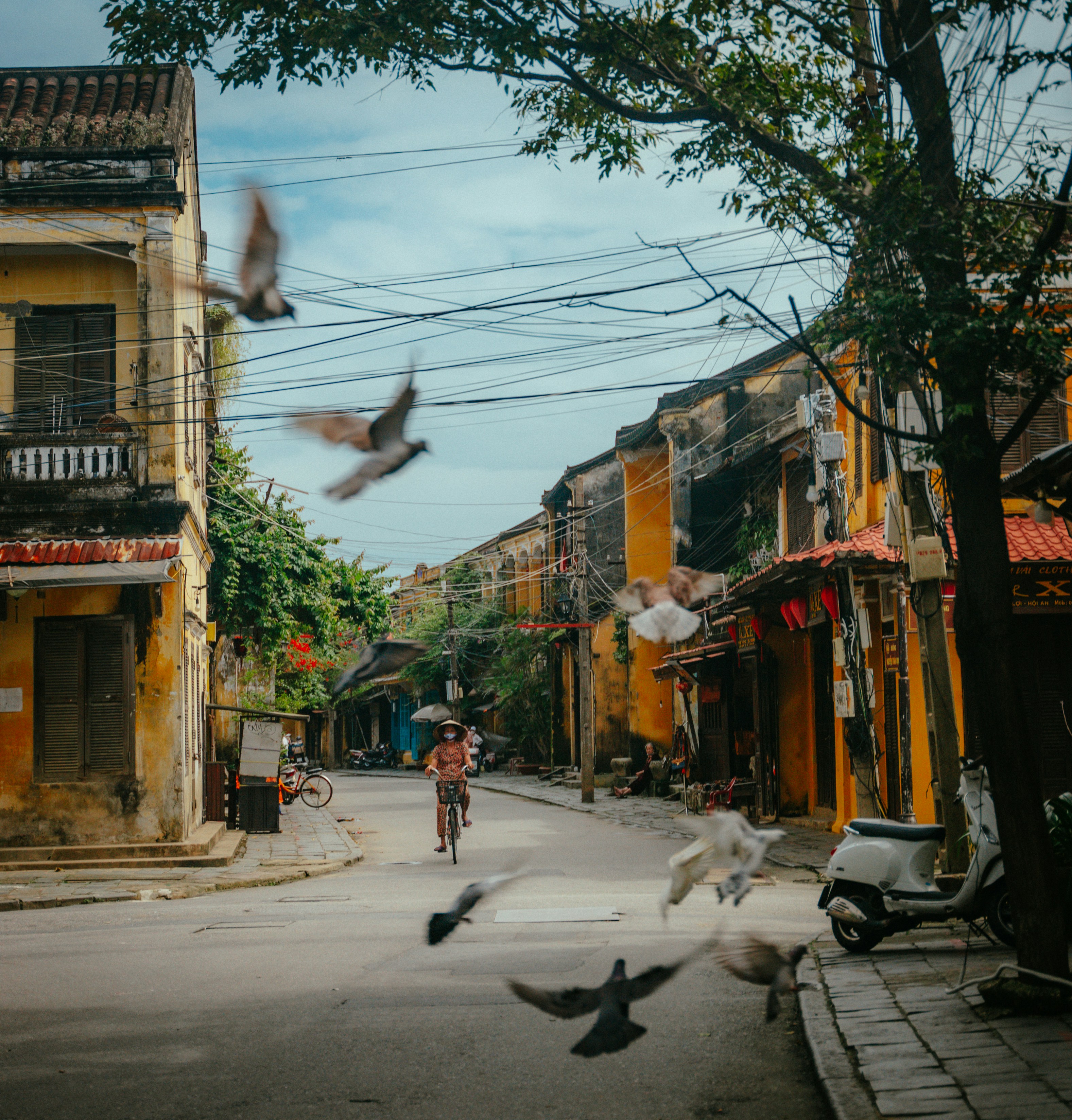 A group of birds flying over a street photo – Free Street Image on Unsplash