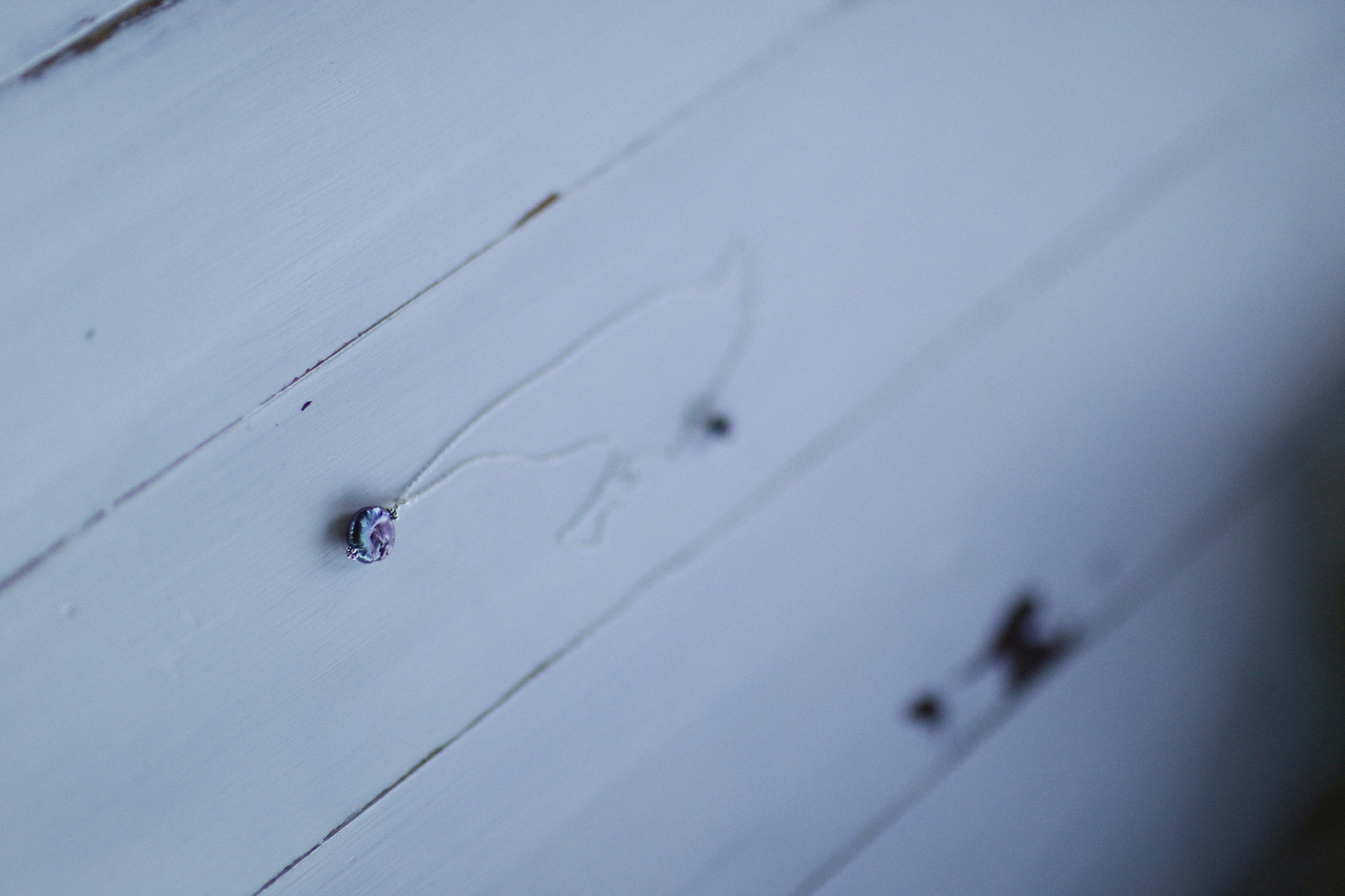 Lilac Pin on Weathered Bluewood: A Macro Moment