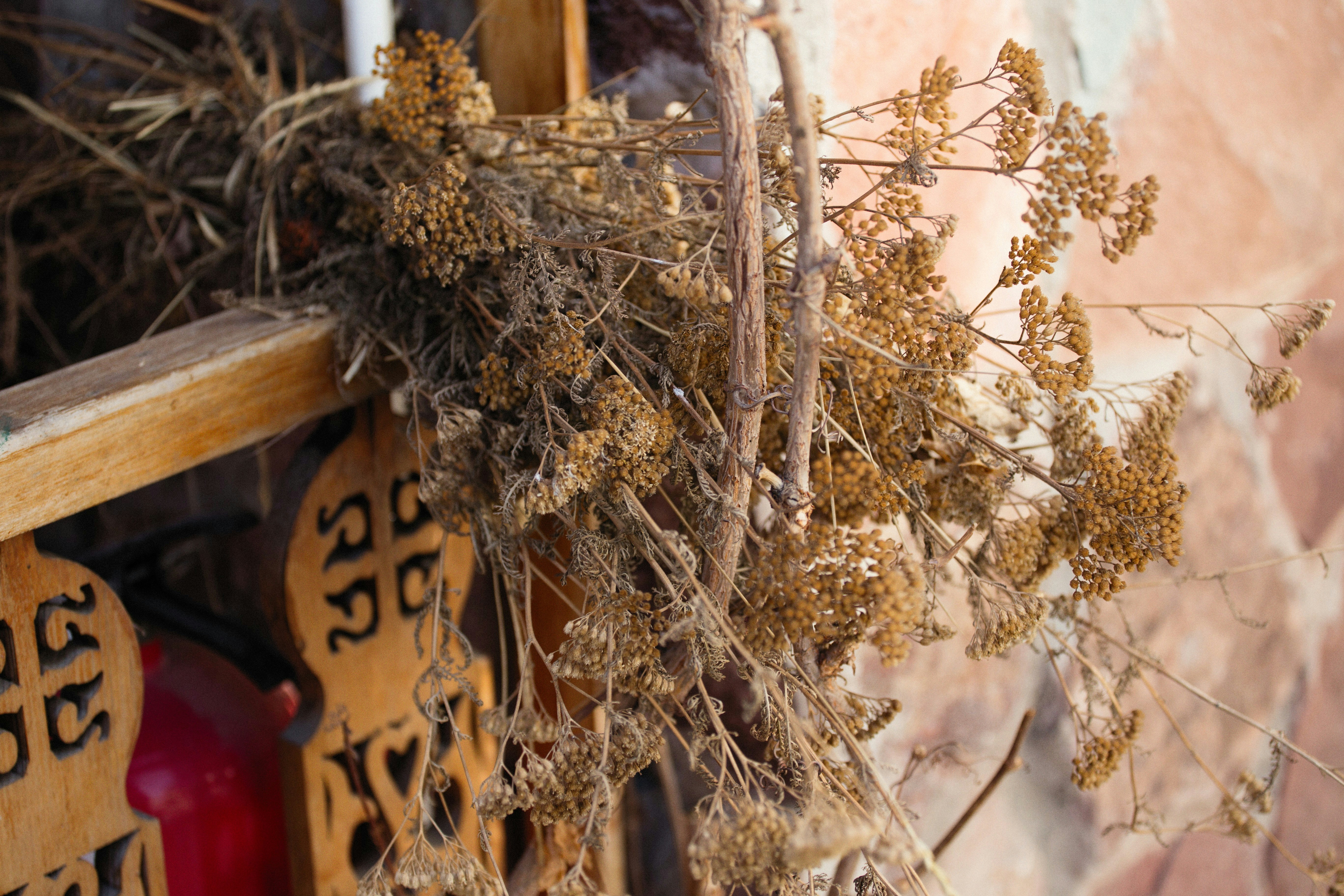 Dry décor and dried herbs: a rustic shrine framed in plaster