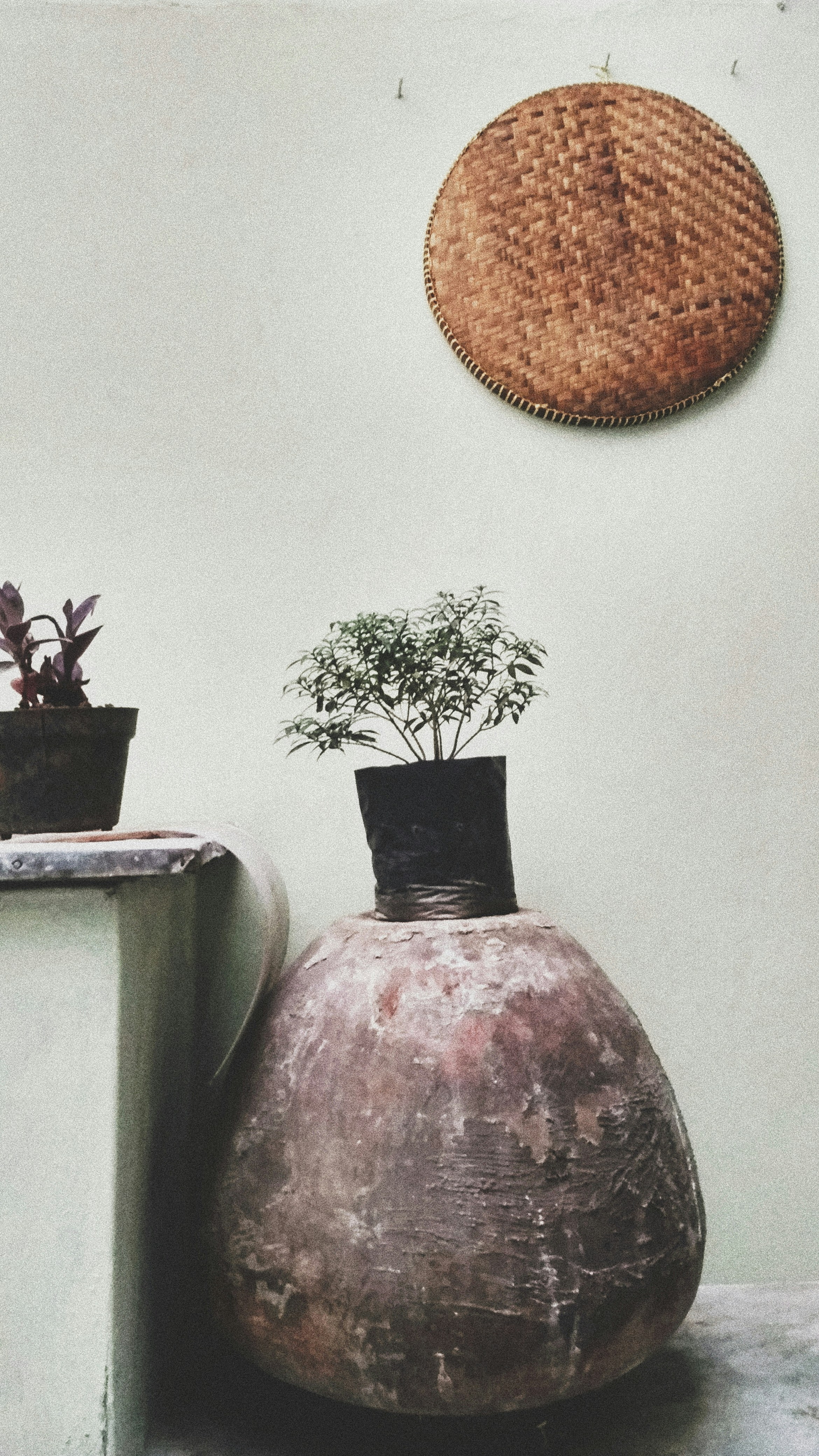 A rustic clay pot adorned with a thriving plant, complemented by a woven wall hanging above. The earthy tones create a serene atmosphere.