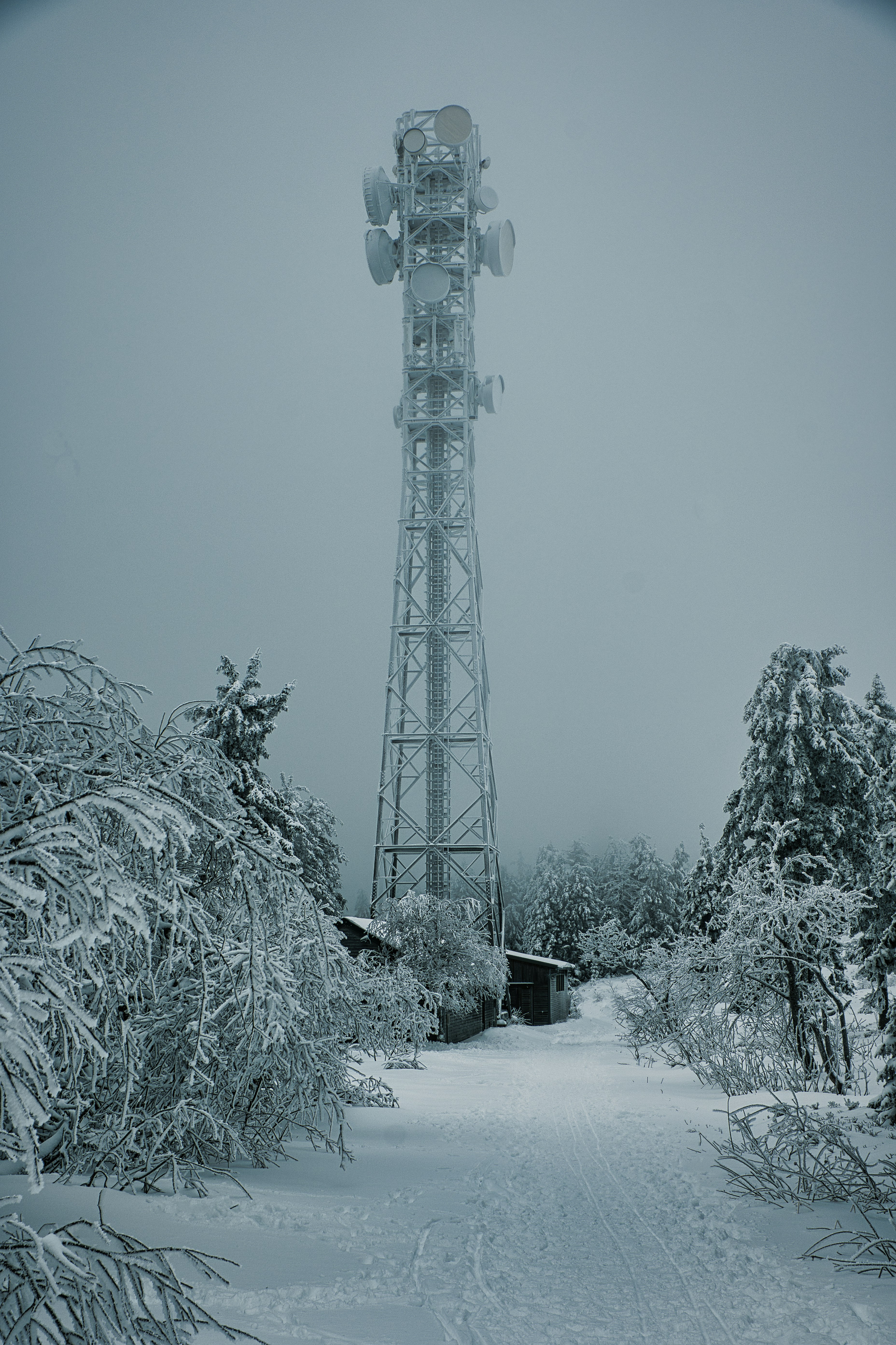 Icy Sentinel: Snow-Capped Transmission Tower Reaches Skyward Over Frosted Pines