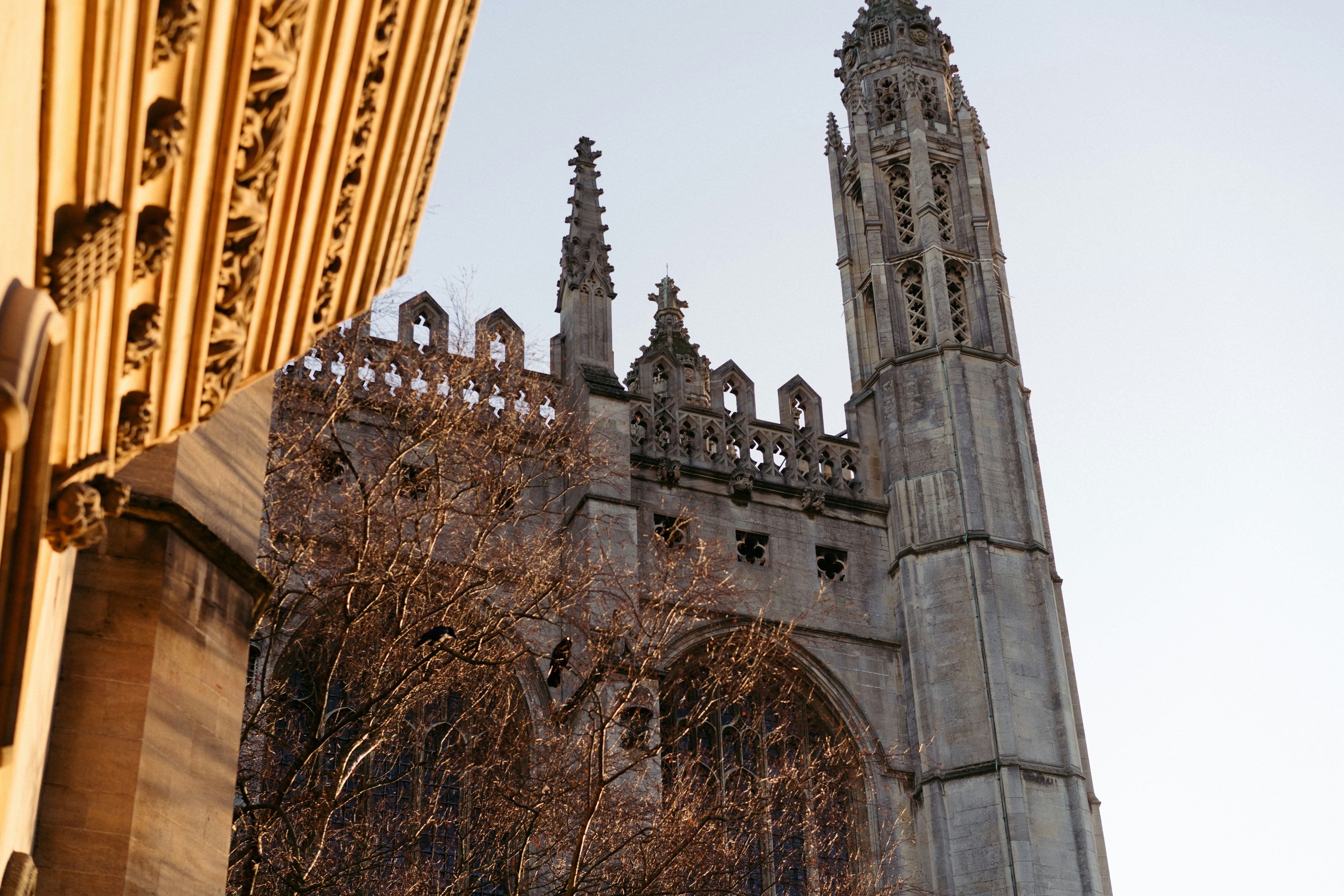 Ornate Gothic tower with intricate stone carvings and bare tree branches in soft evening light.