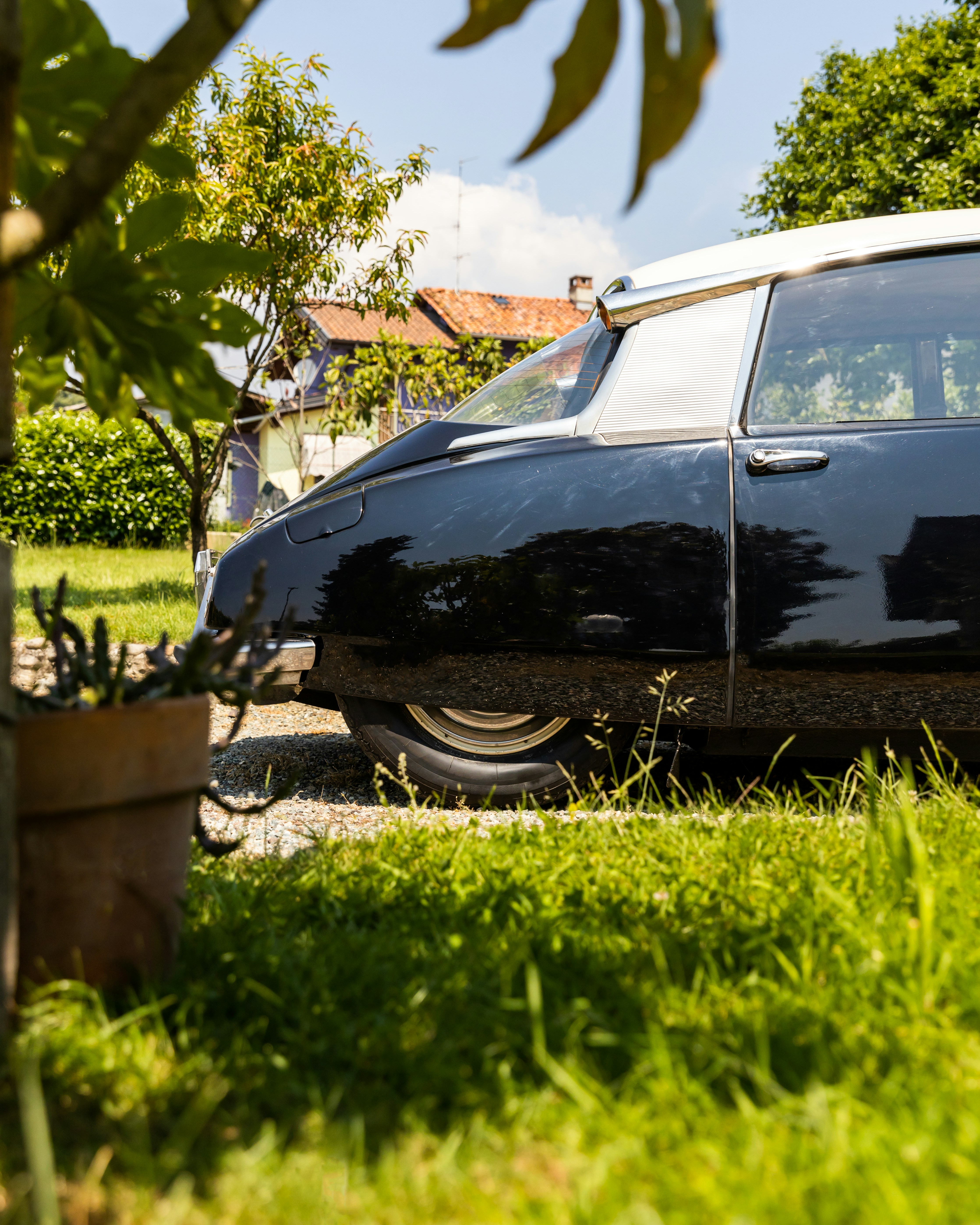 A black car parked in the grass next to a tree photo – Free Car Image ...