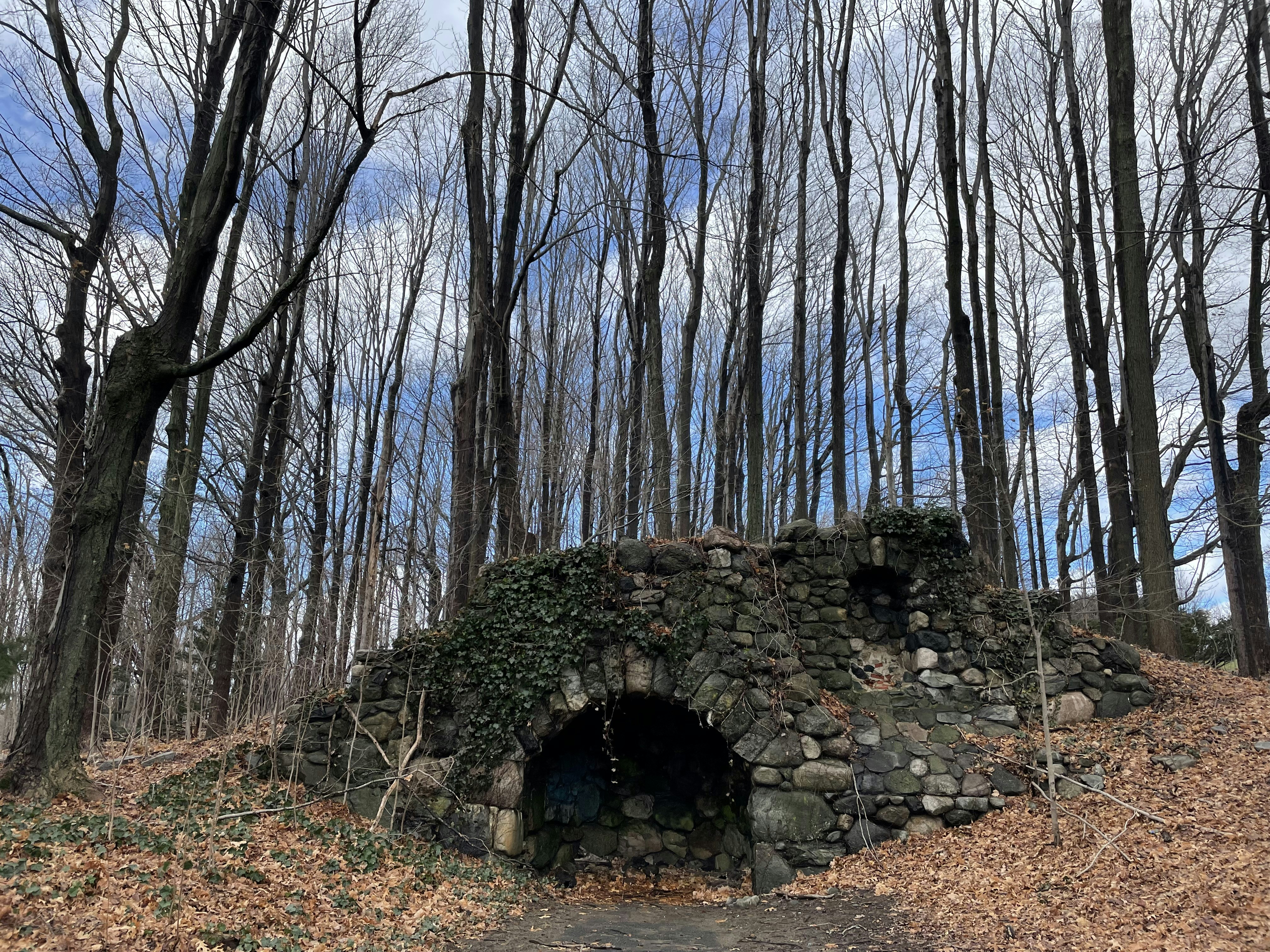 Ancient stone structure nestled among bare trees, with creeping vines and a carpet of fallen leaves. A glimpse into nature's embrace of human history.