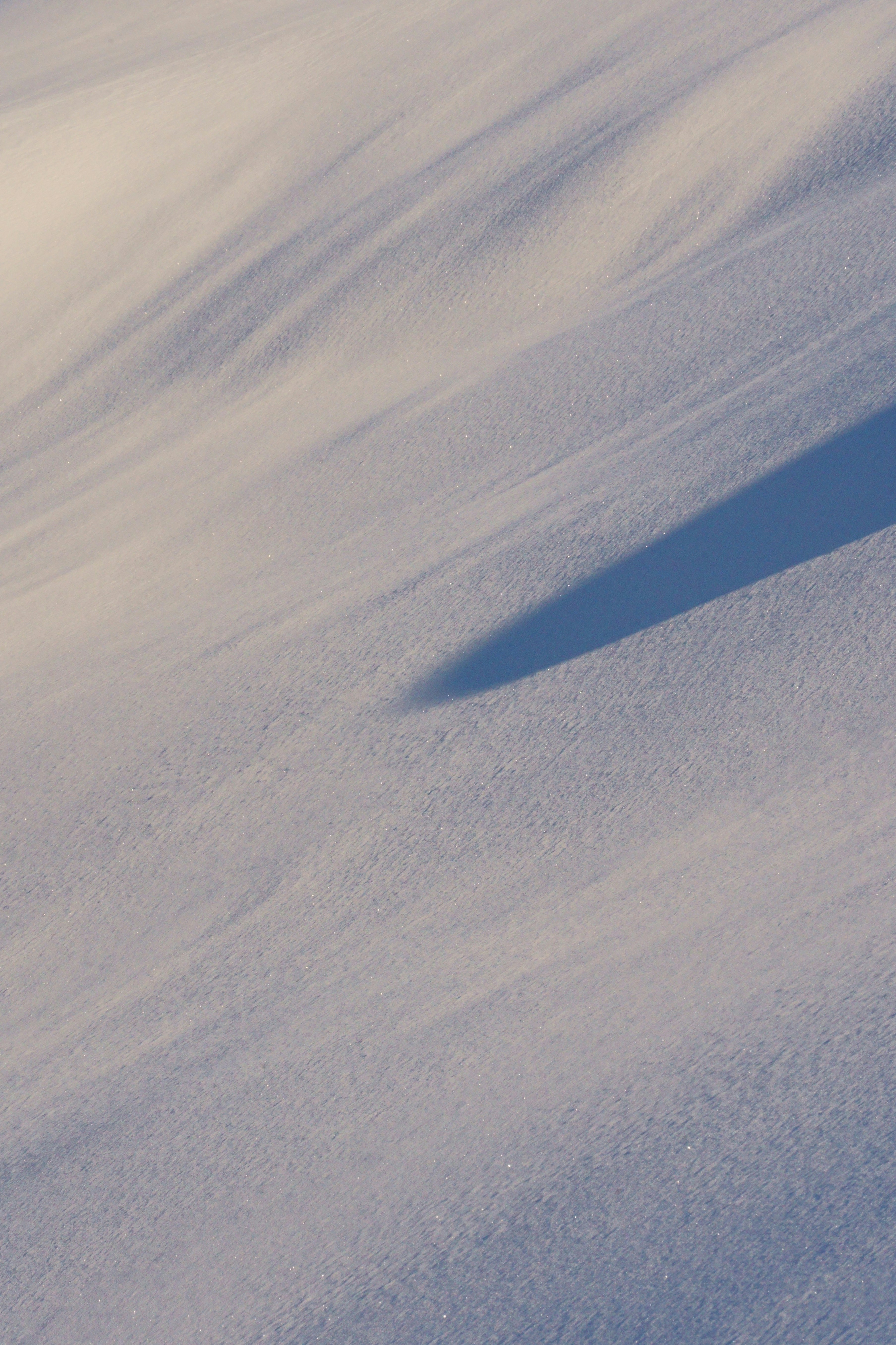 Soft undulating snow drifts illuminated by gentle light, creating a serene winter landscape. Shadows play across the surface, enhancing the texture and depth.