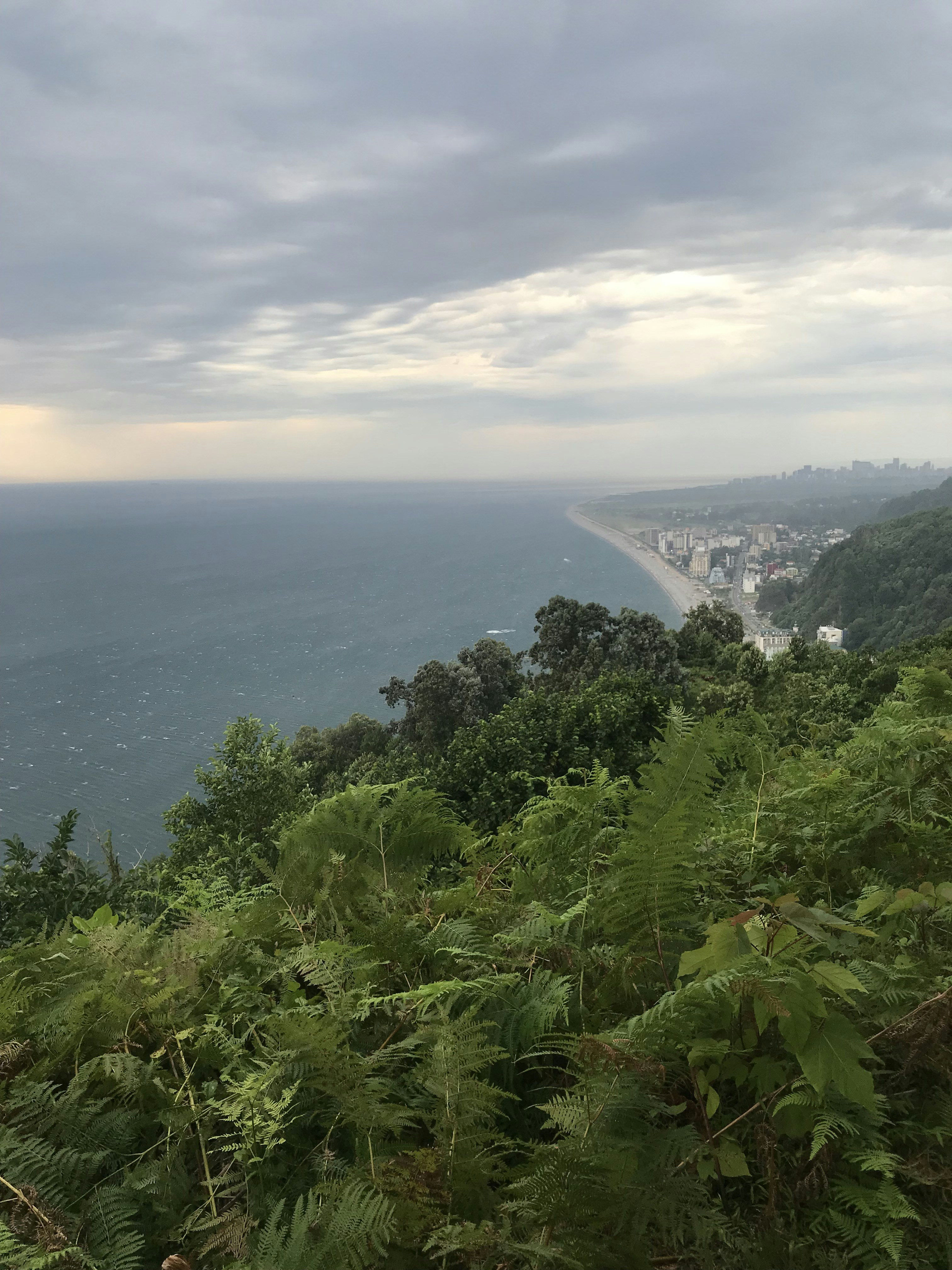 Lush ferns frame a sweeping view of a coastal town under a dramatic sky, with turbulent waters reflecting the mood of the atmosphere.