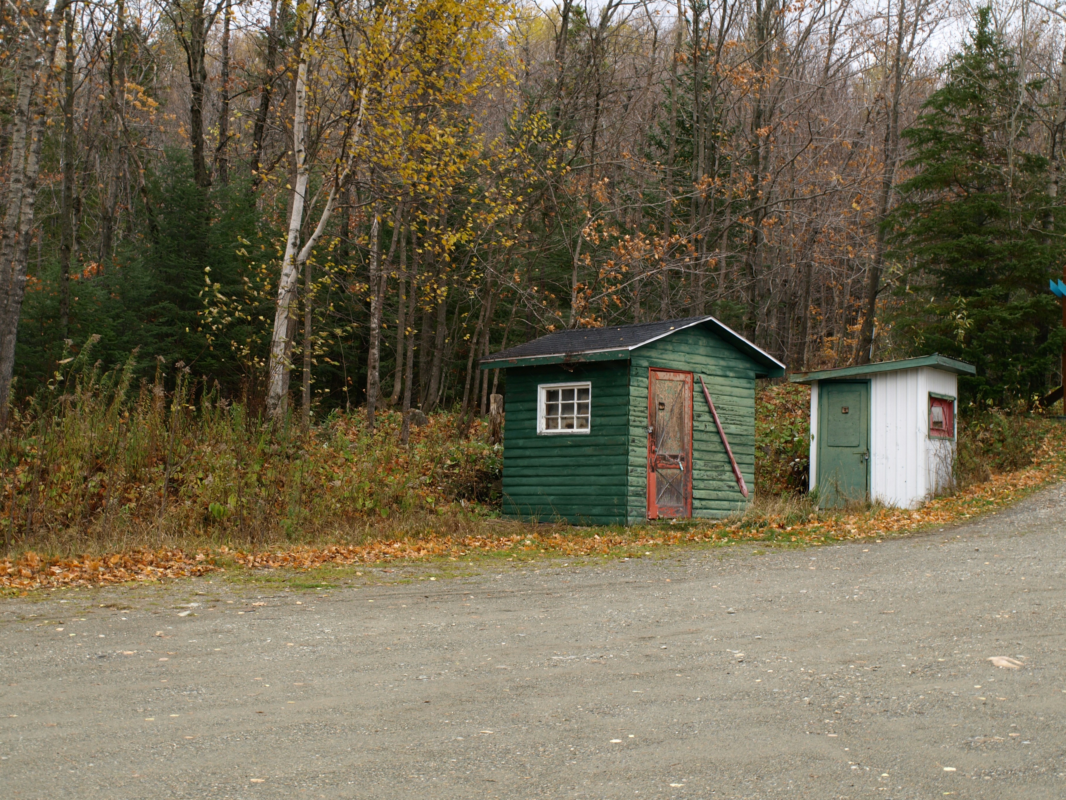 A small green building sitting next to a forest photo – Free Housing ...
