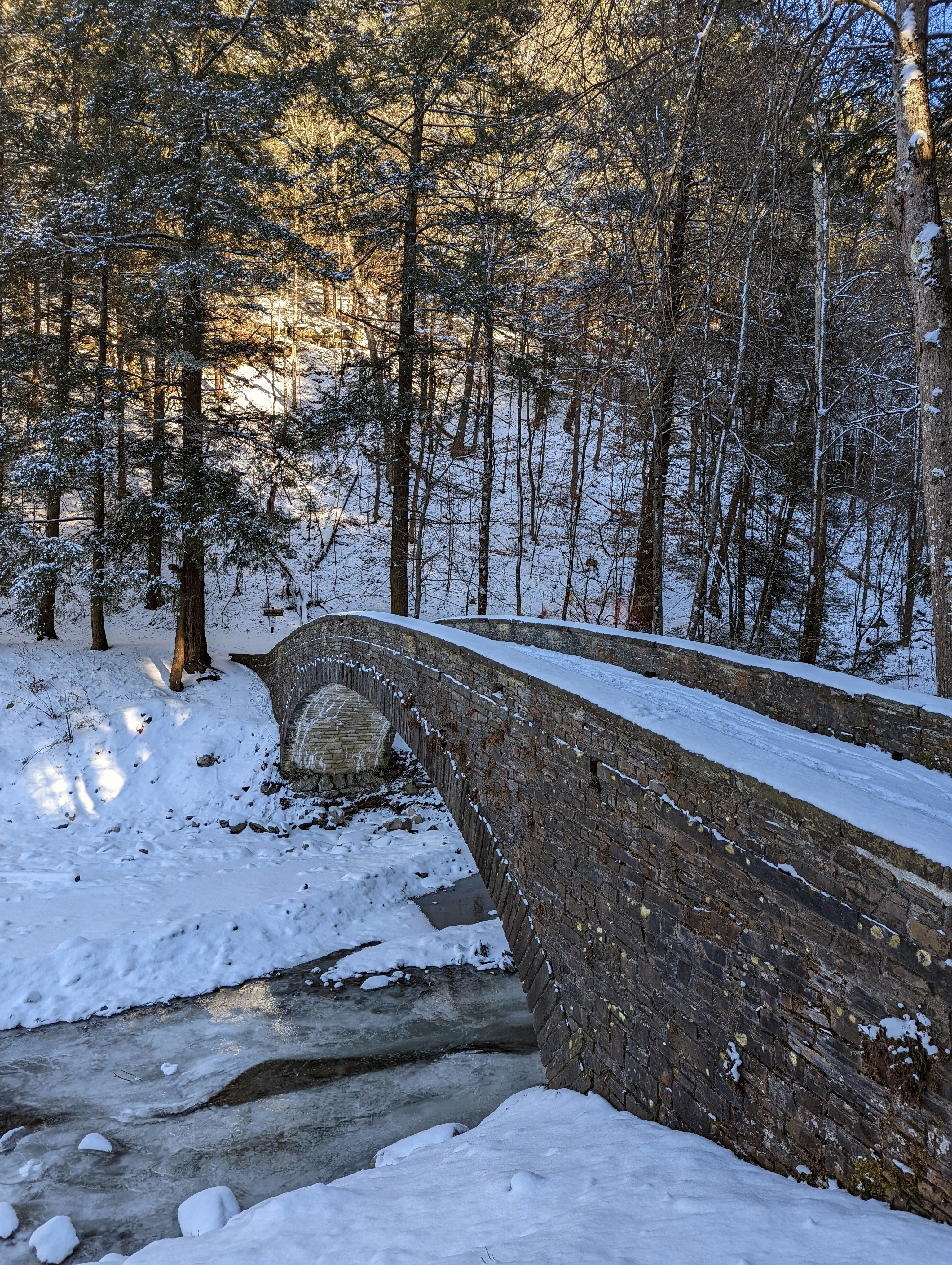 Snowbound Stone Bridge: Quiet Arc Through a Pine Forest