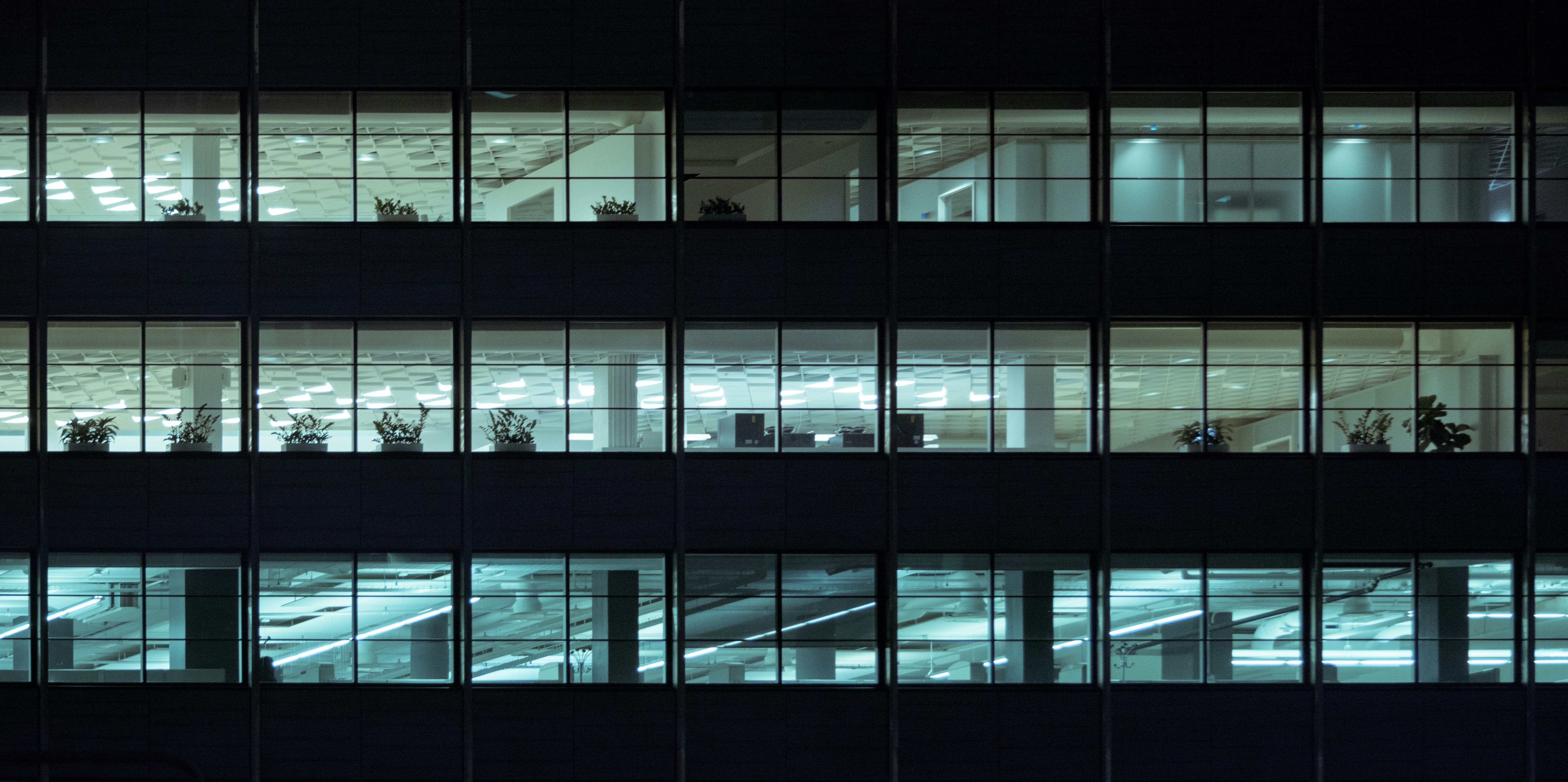 Night Office Building Texture