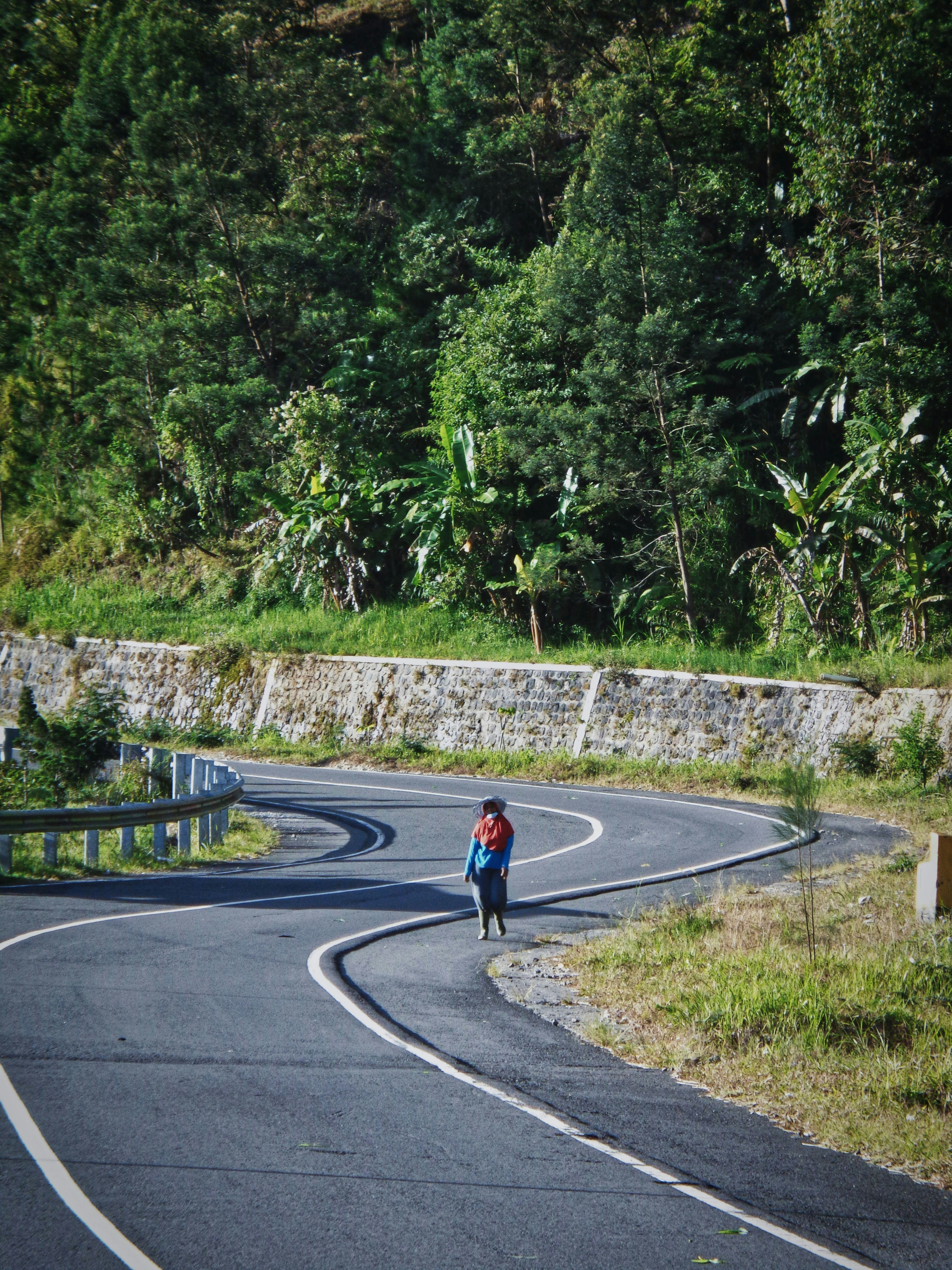 A solitary figure walks along a winding road bordered by lush greenery, embodying the tranquility of nature's embrace.