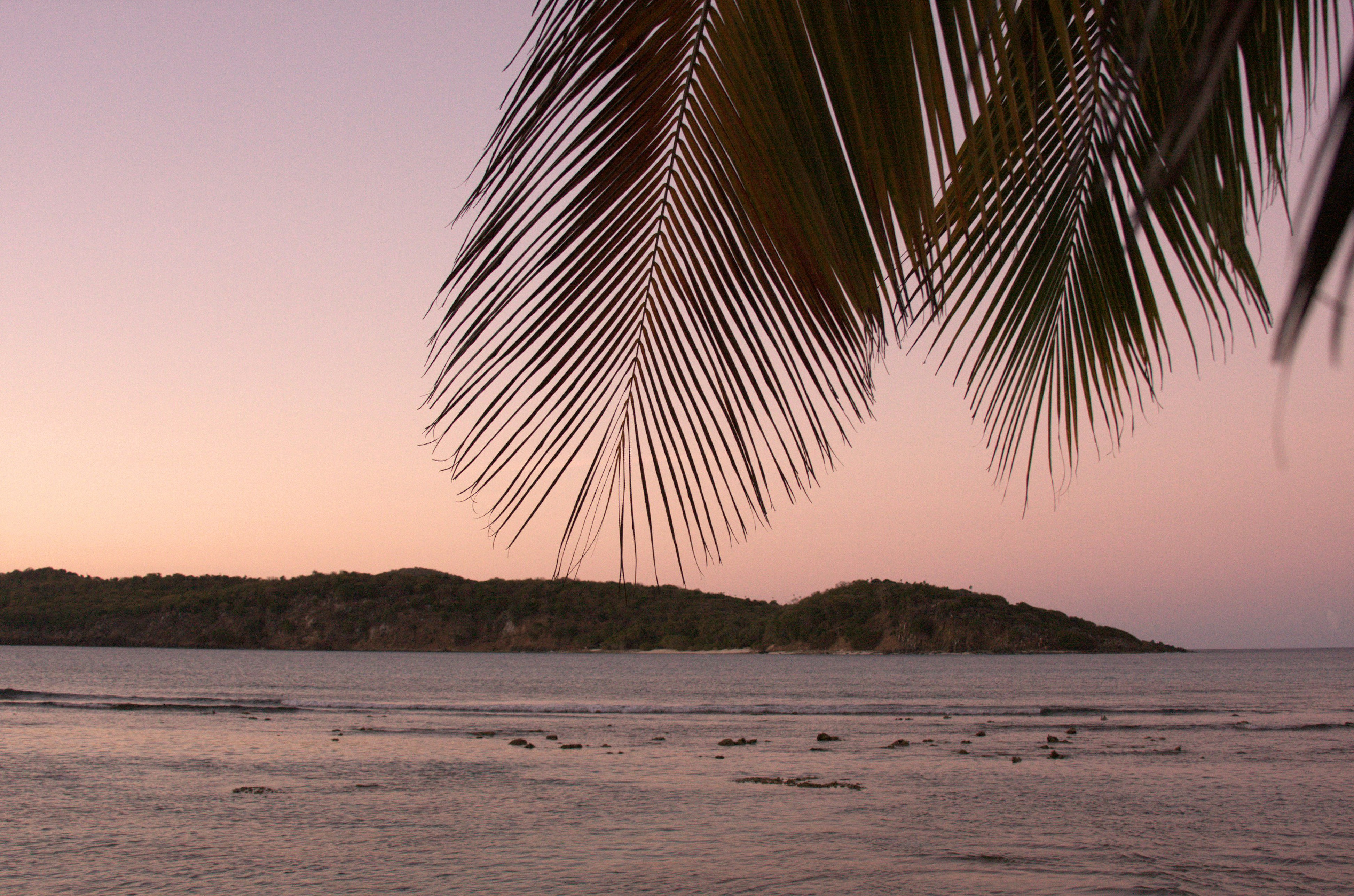 Serene Sunset by the Swaying Palm