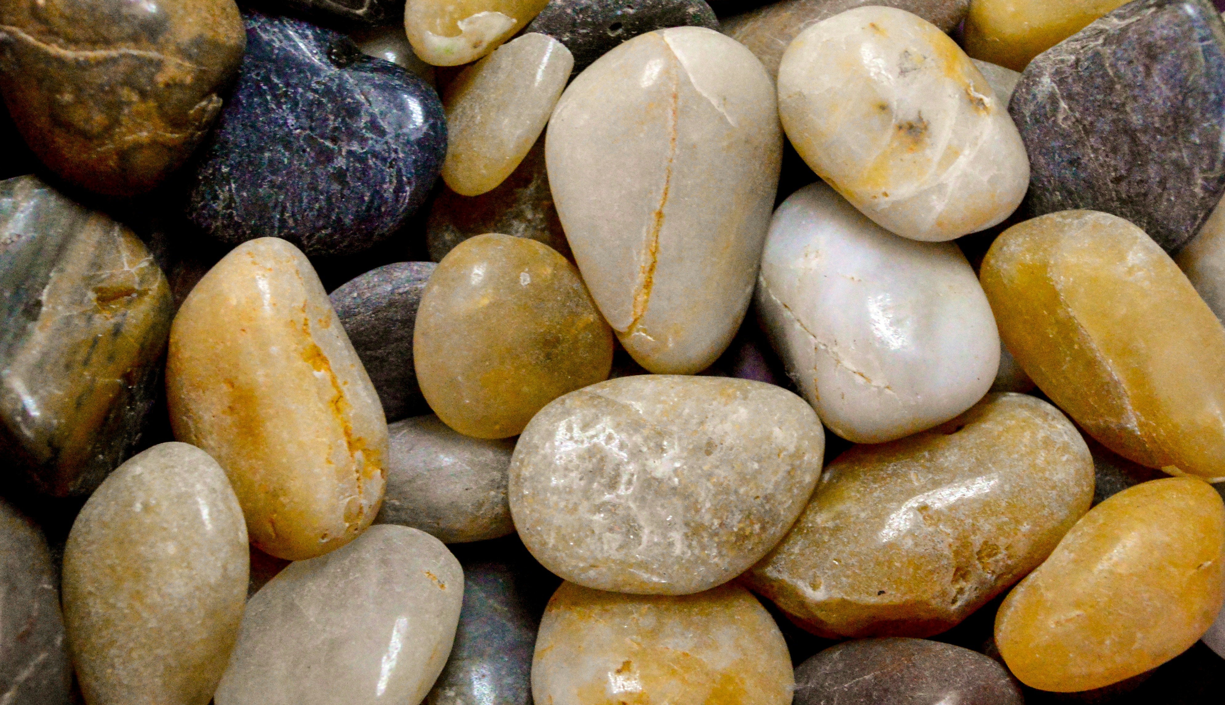 A close up of a bunch of rocks photo – Free Pebble Image on Unsplash