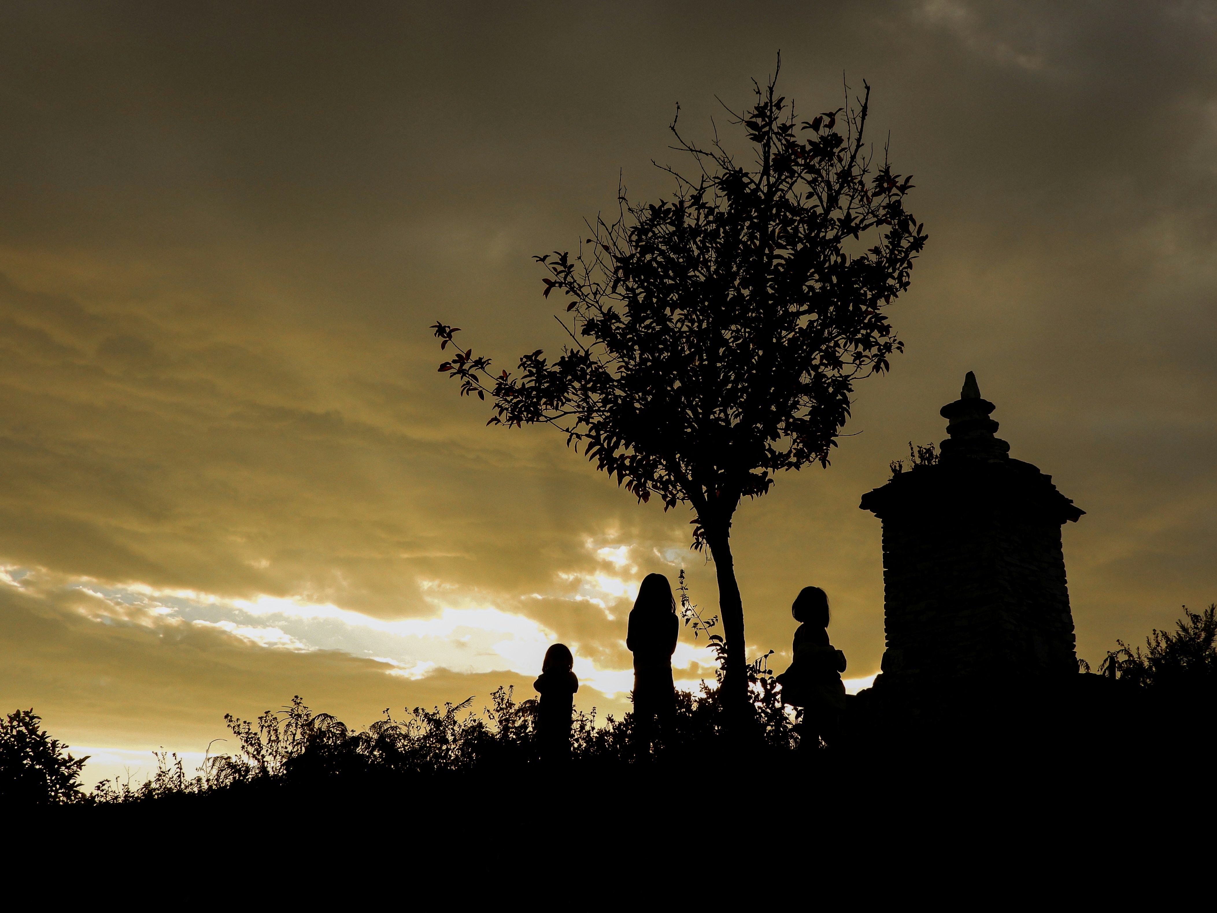 A couple of people standing next to a tree photo – Free Silhouette ...
