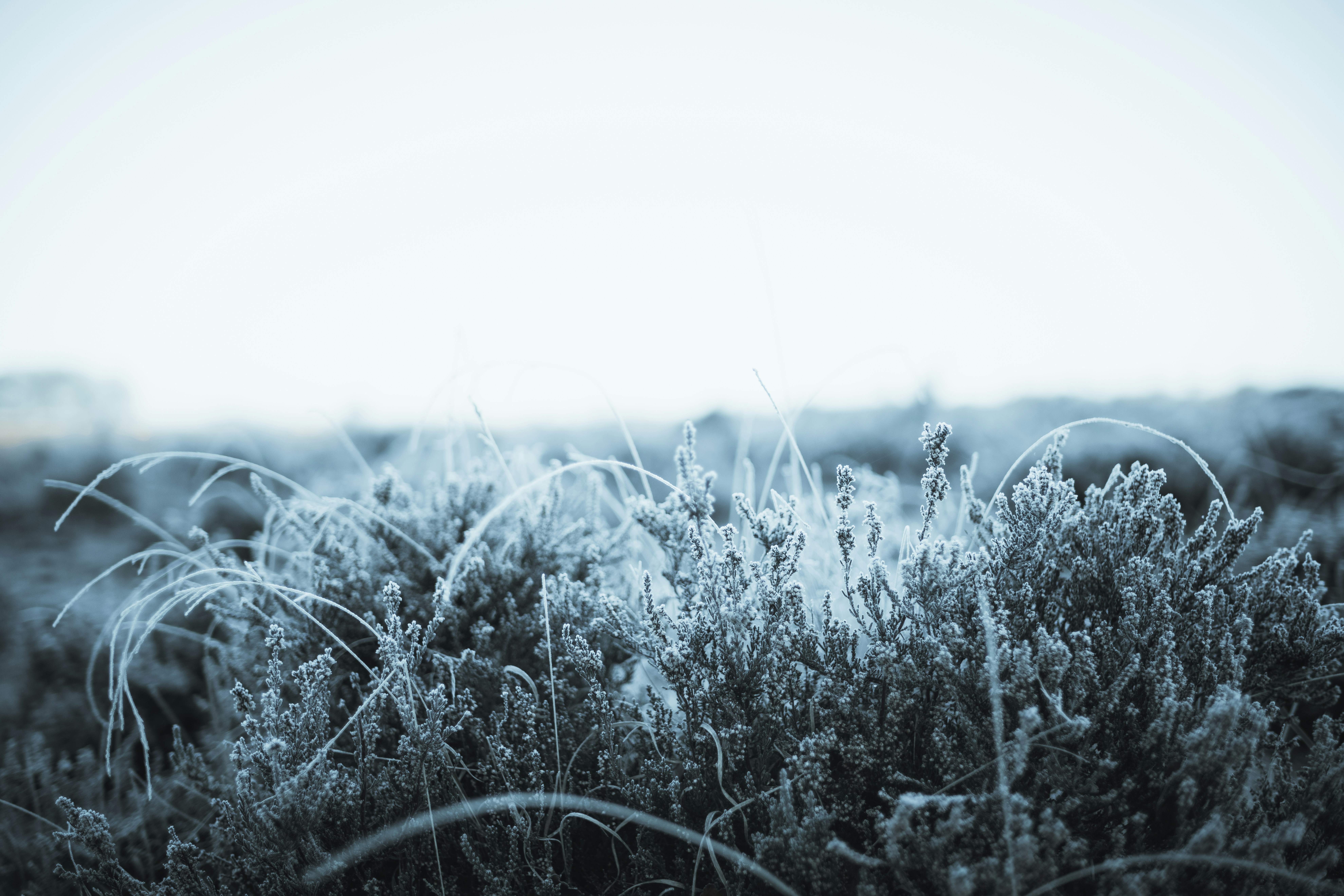 100+ Cold Pictures | Download Free Images on Unsplash