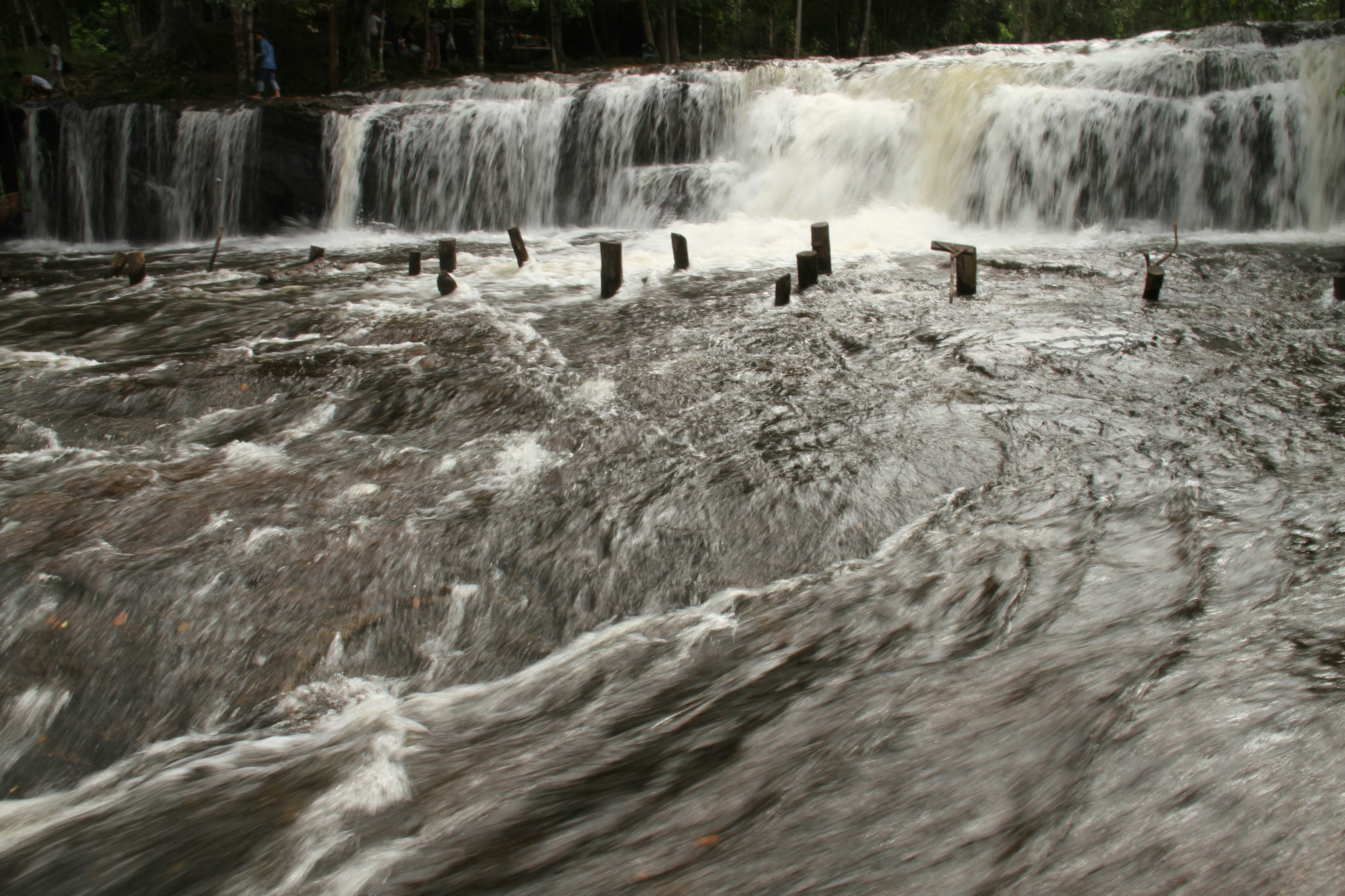 A large waterfall with a bunch of logs sticking out of it photo – Free ...