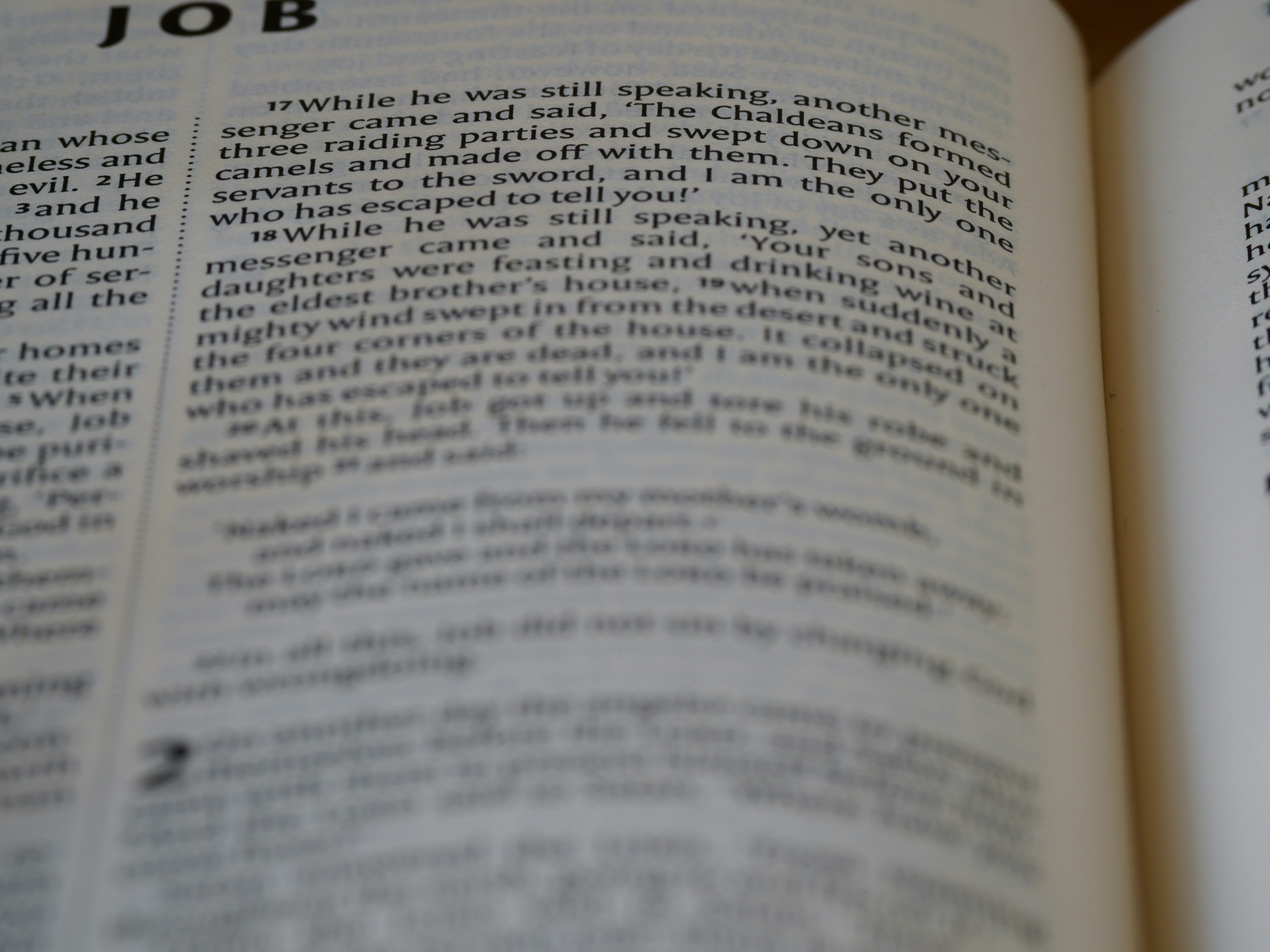 A close up of an open book with words on it photo – Free Grey Image on ...