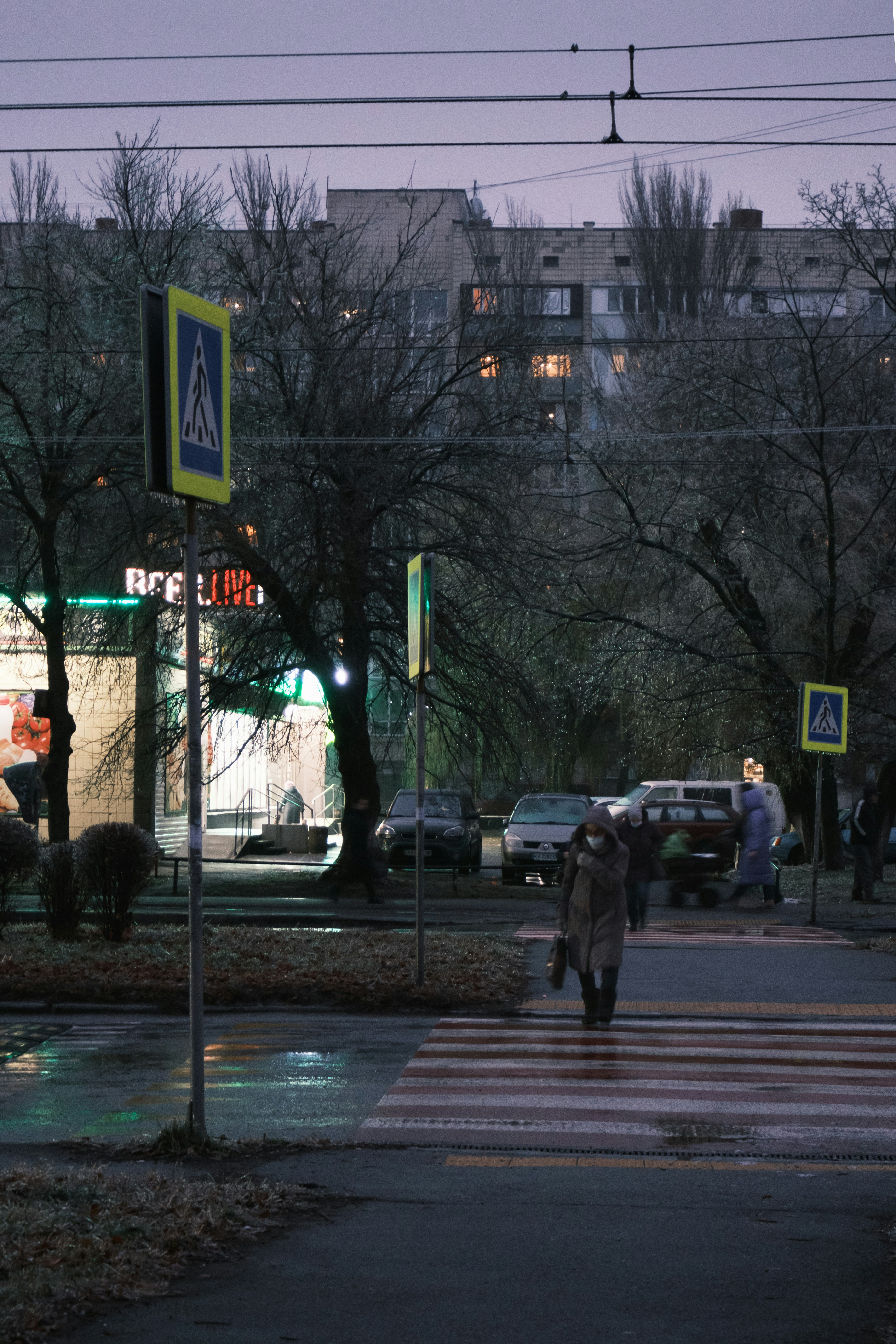 Pedestrian crossing in a quiet urban setting under twilight, with illuminated storefronts and trees lining the path.
