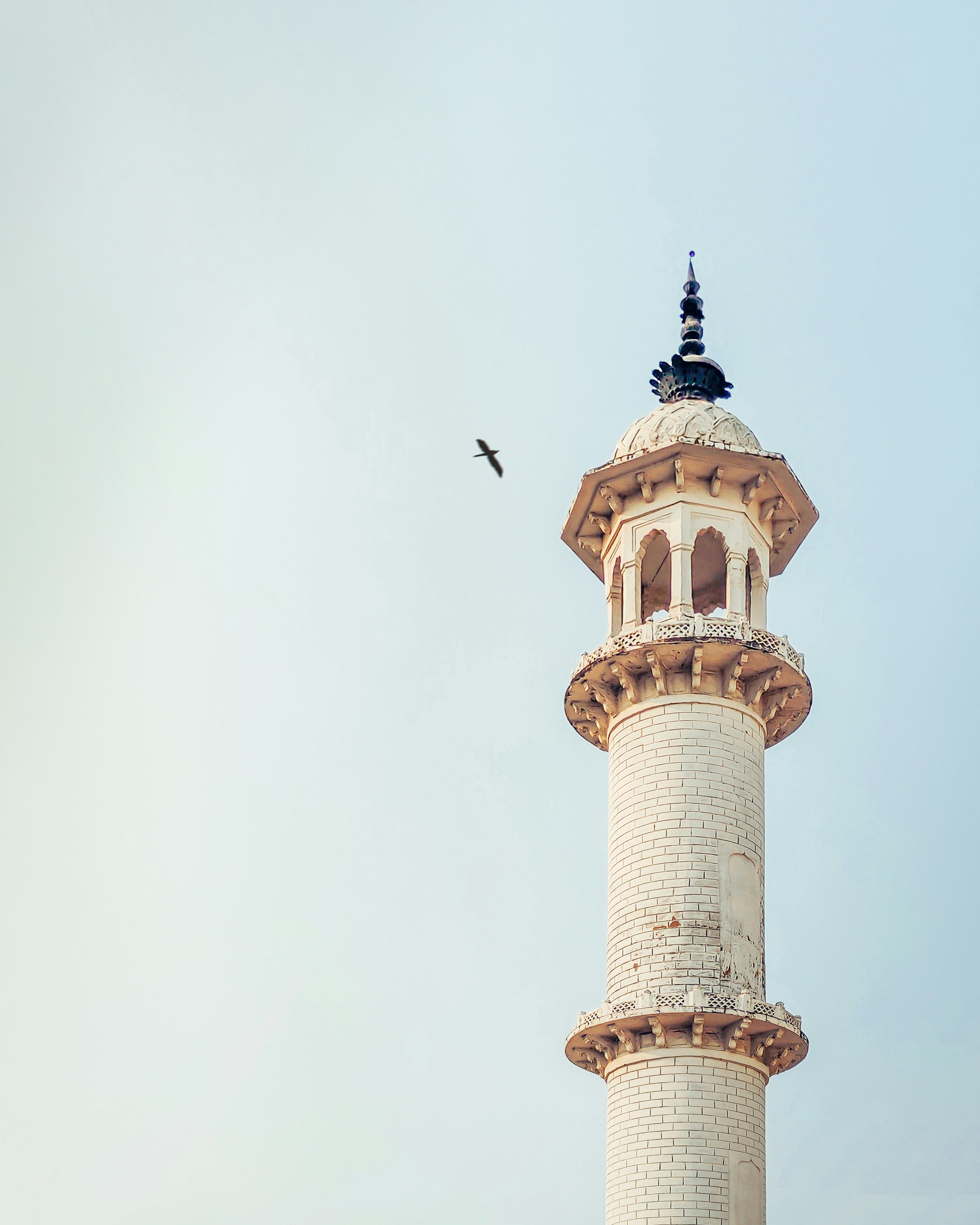 Sample photo from Vivo iQOO 7