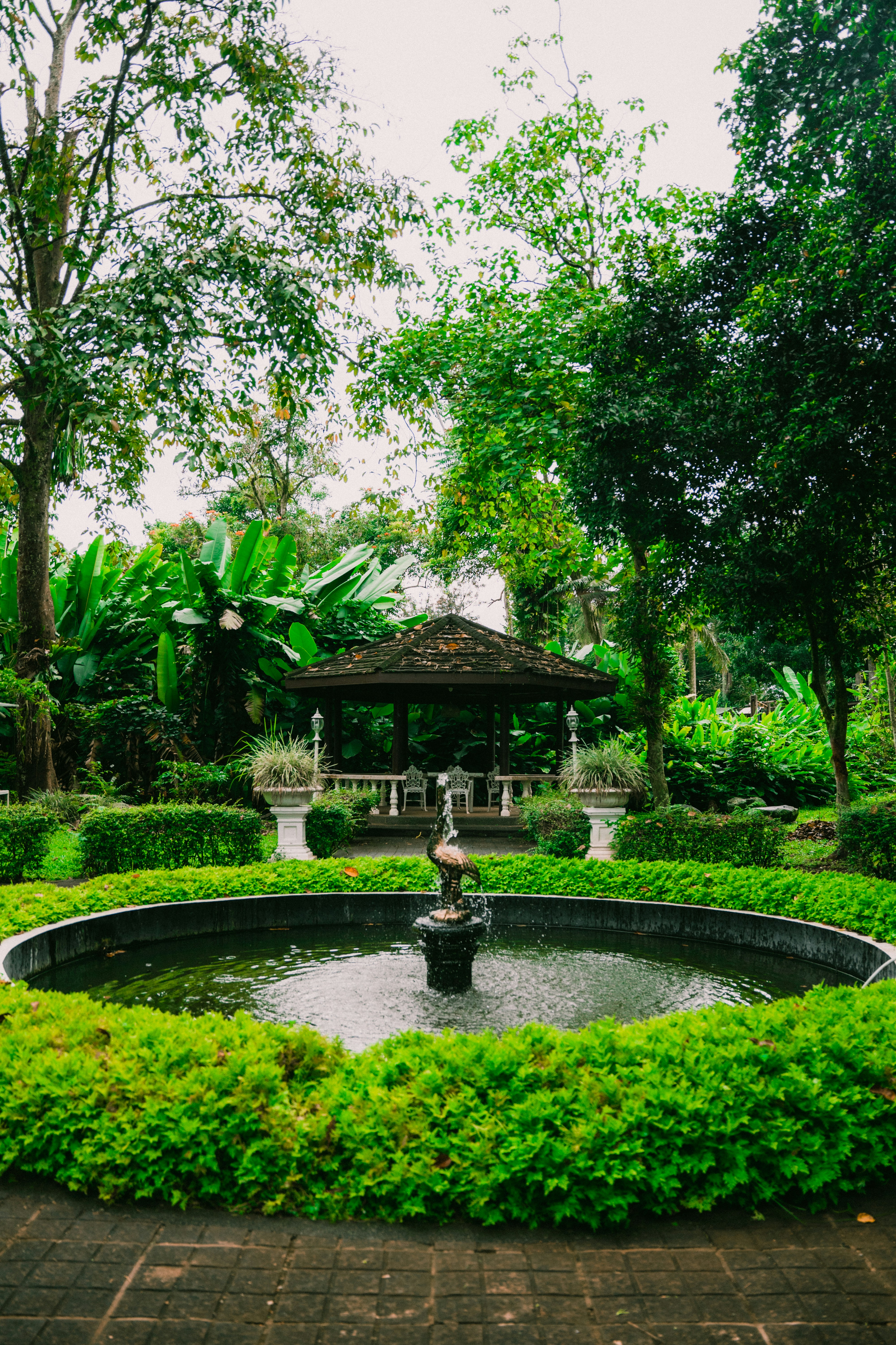 A garden with a fountain surrounded by greenery photo – Free Outdoors ...