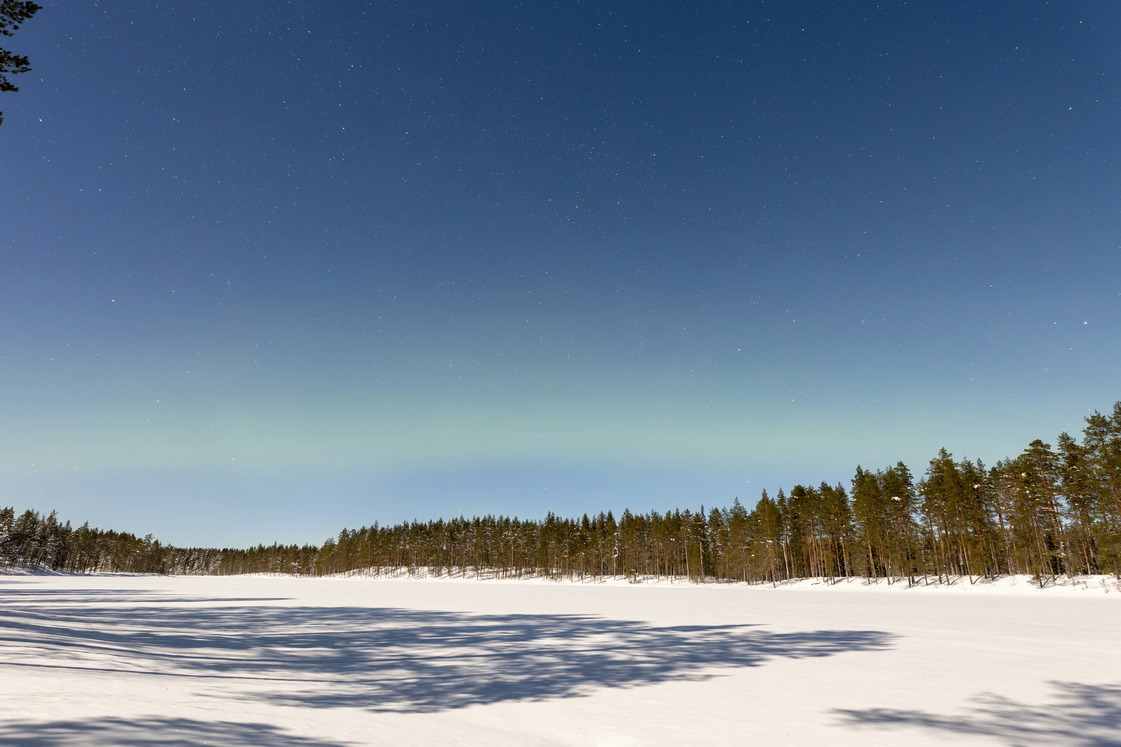 Aurora borealis gently illuminates a snow-covered forest under a starry night in Finland.