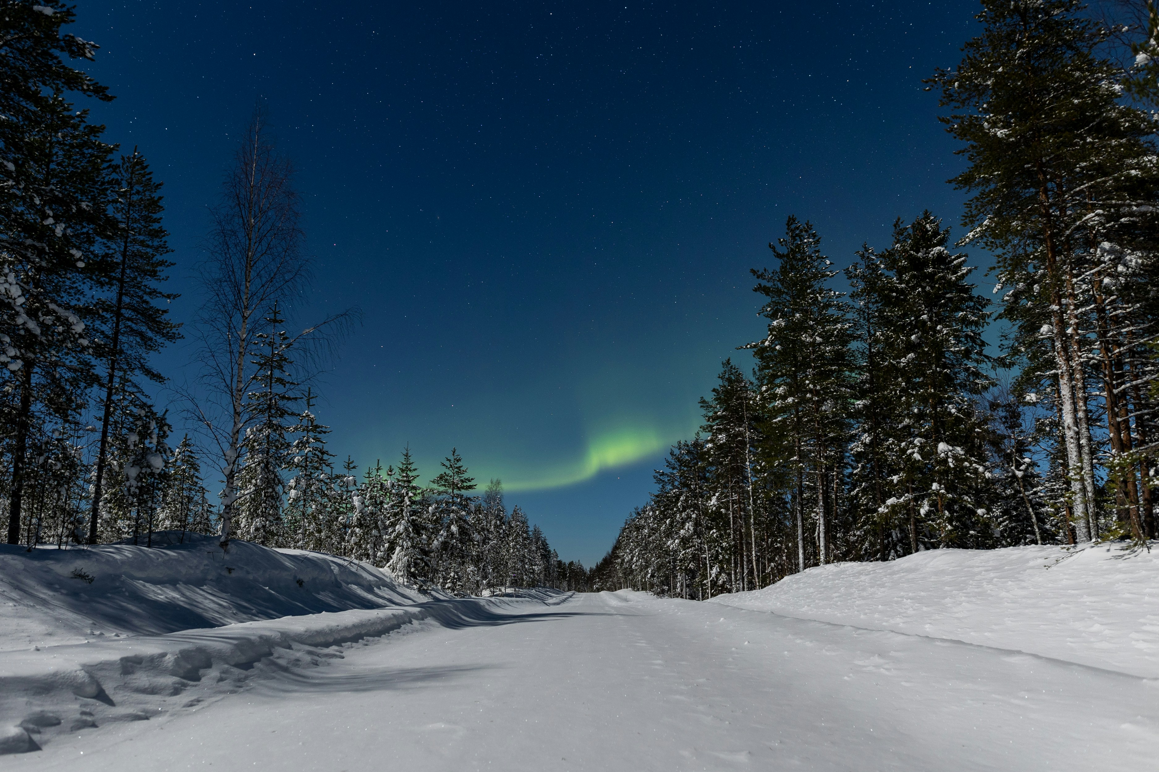 Aurora borealis arcs over a snow-covered road flanked by tall, shadowy pines under a starry Finnish sky.