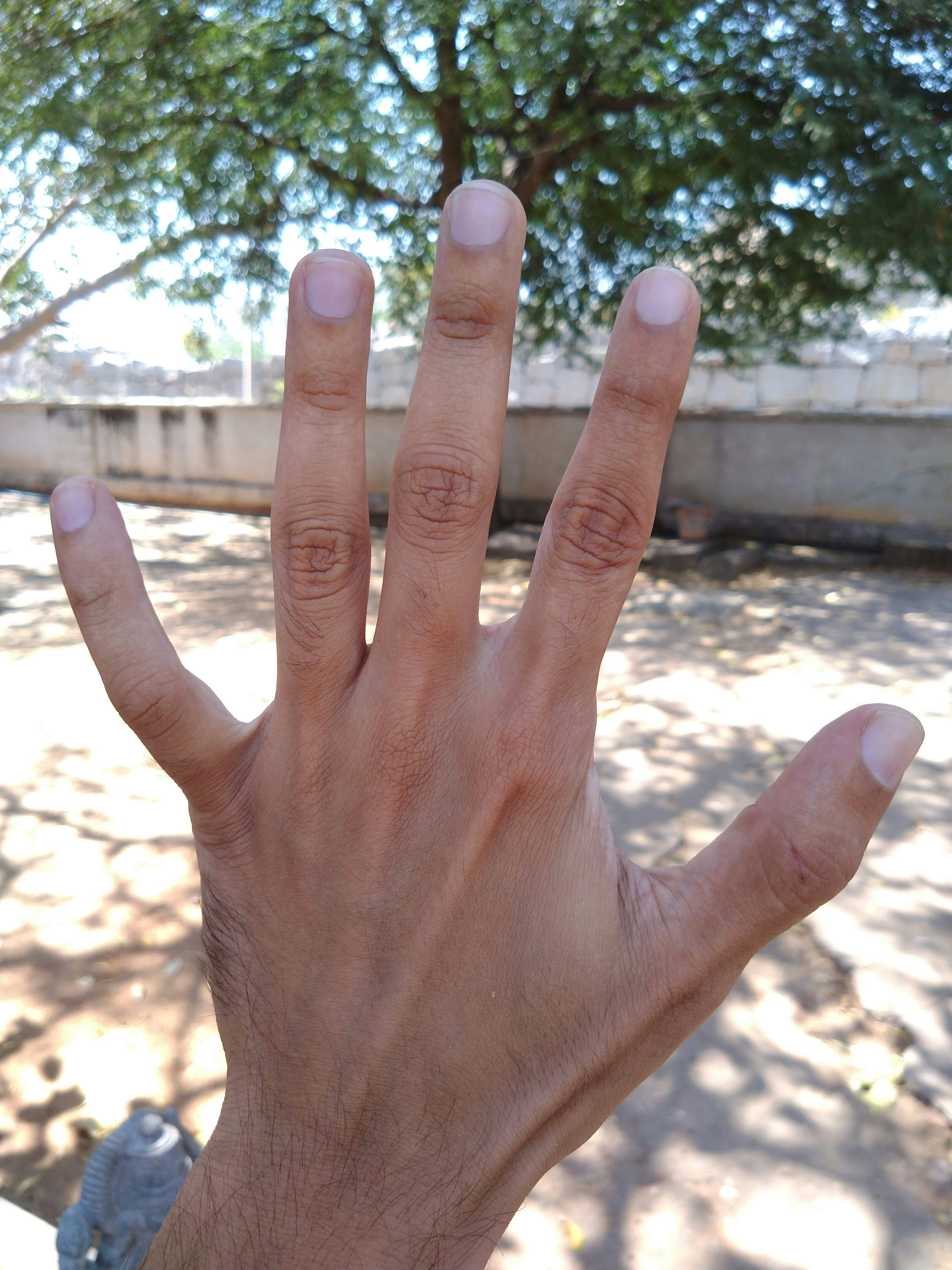 Index Finger Pictures | Download Free Images on Unsplash