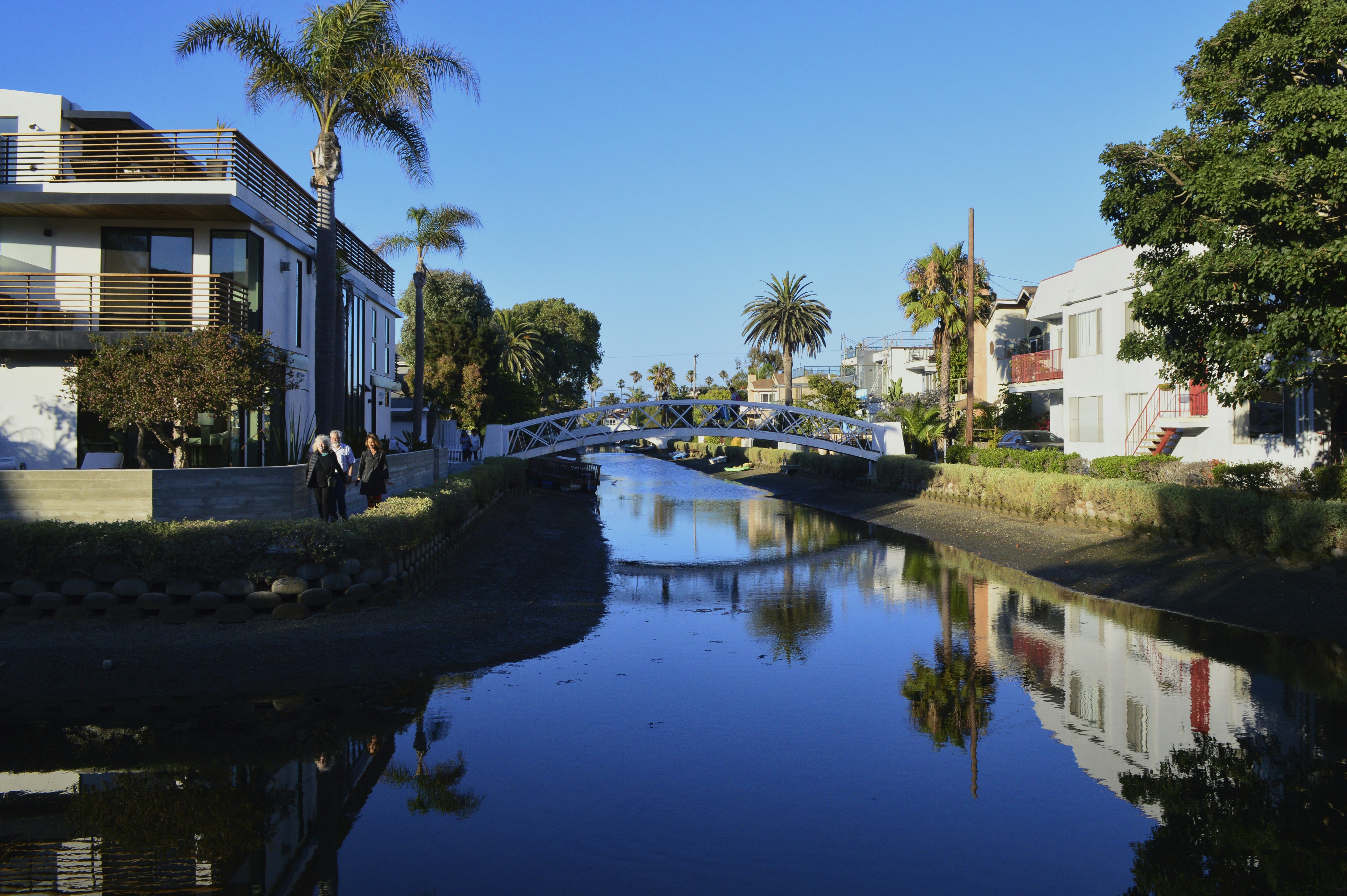 Sunlit Canal Reflections Under a Palm-Framed Bridge