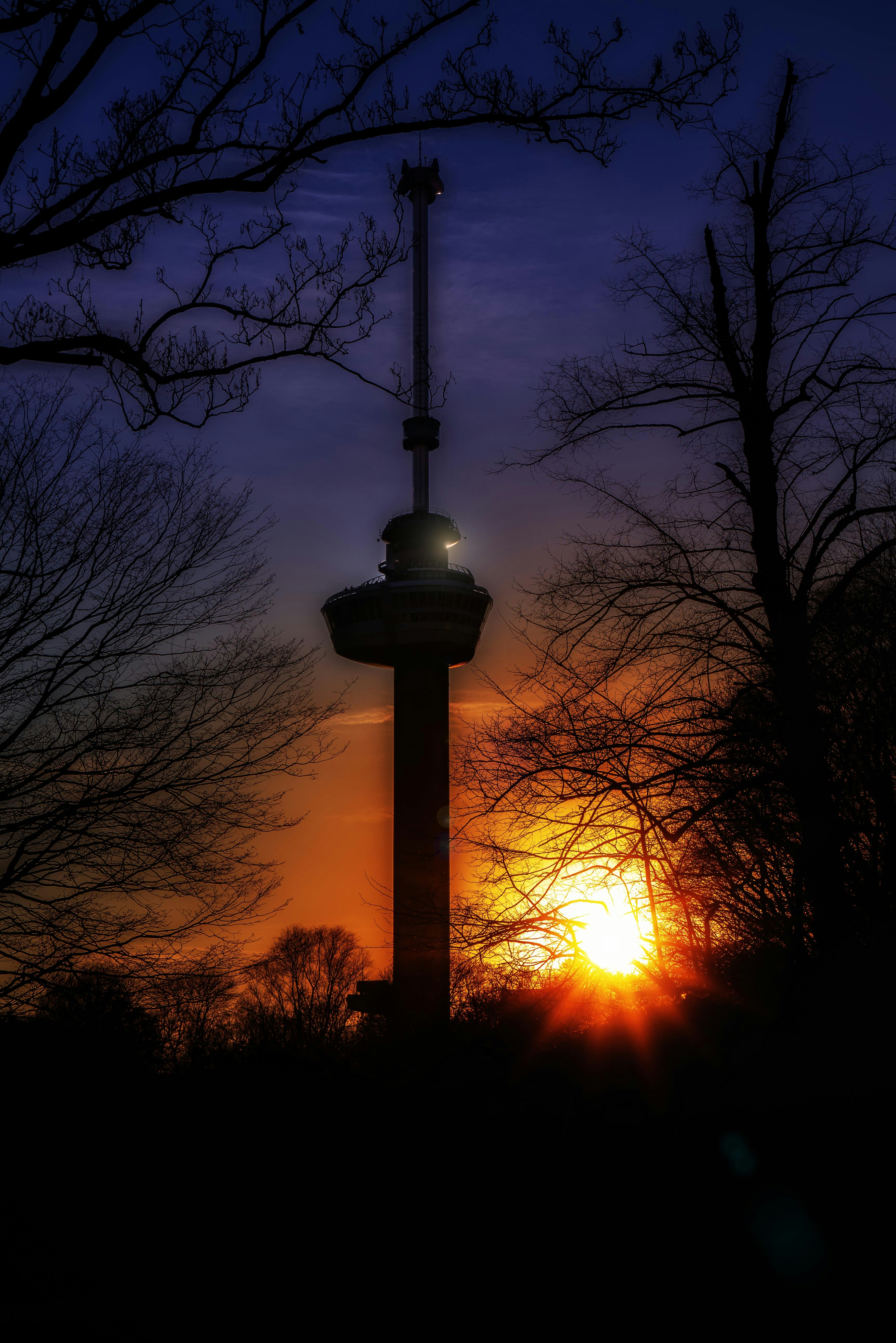 Twilight Sentinel: silhouette of a tower framed by bare branches at sunset