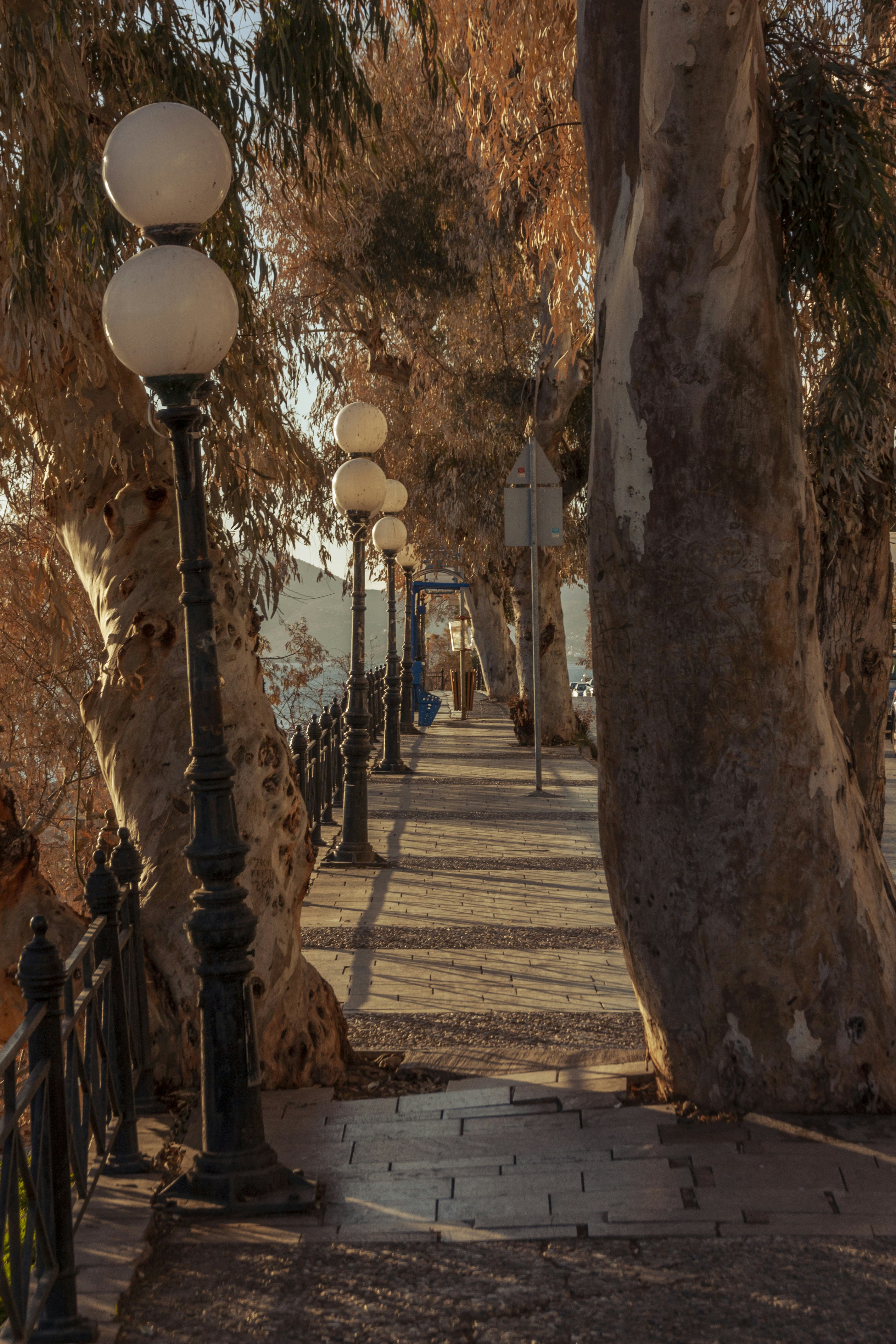 Amber Promenade: Lanterns, Trees, and a Distant Figure