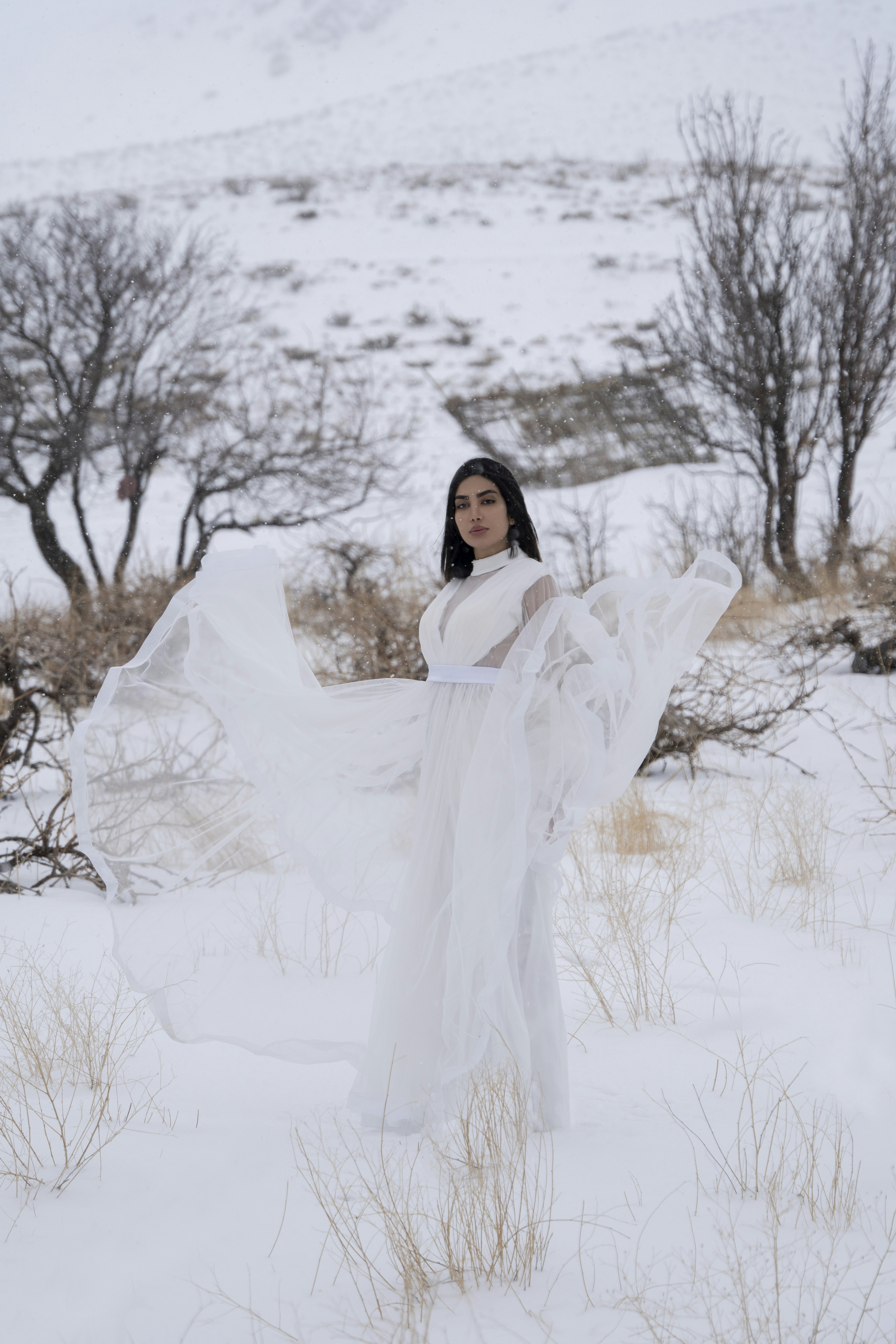 Silent Snow Dreamer in White Veil