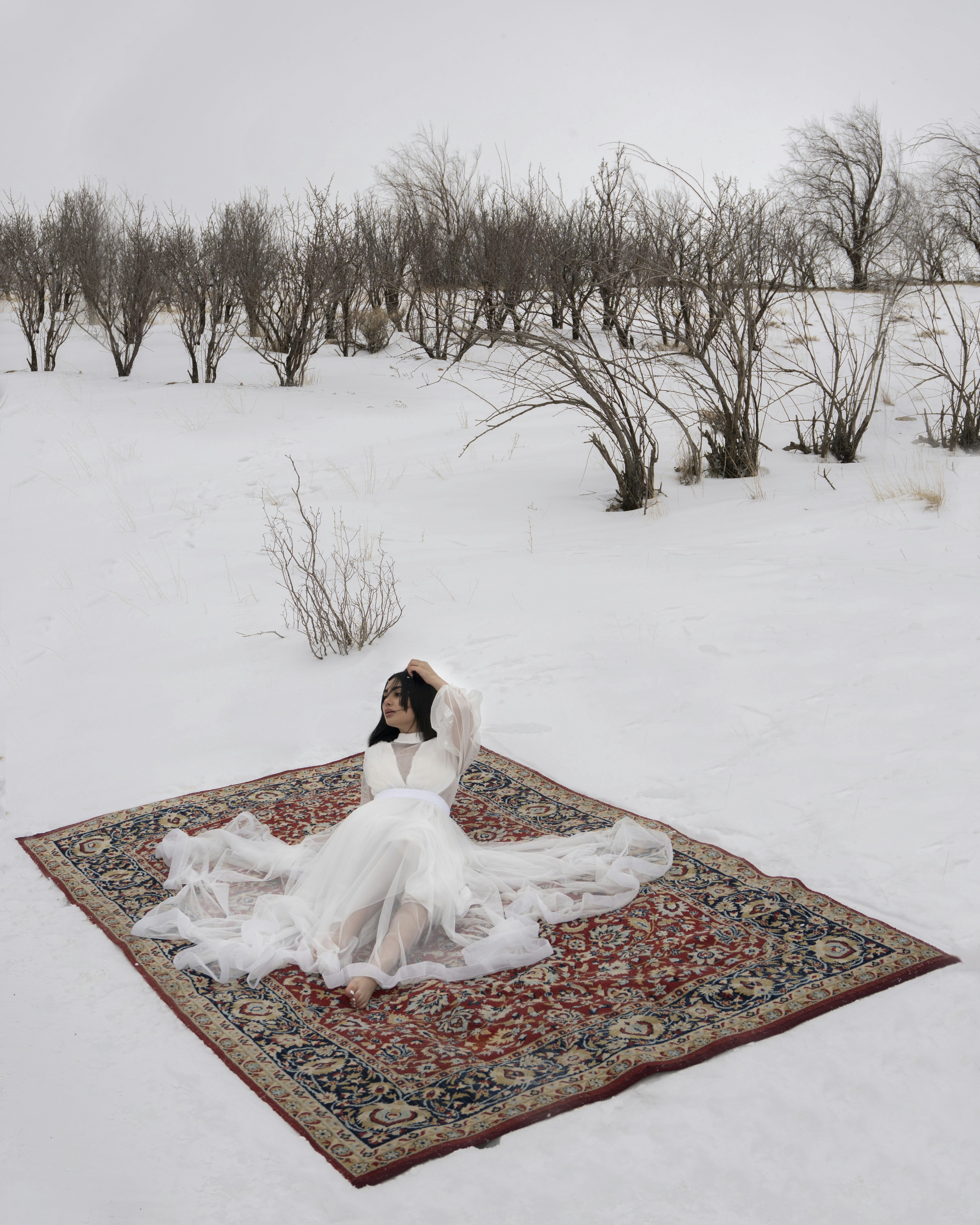 White Velvet under Snow: A Bride on a Red Rug in Winter Silence