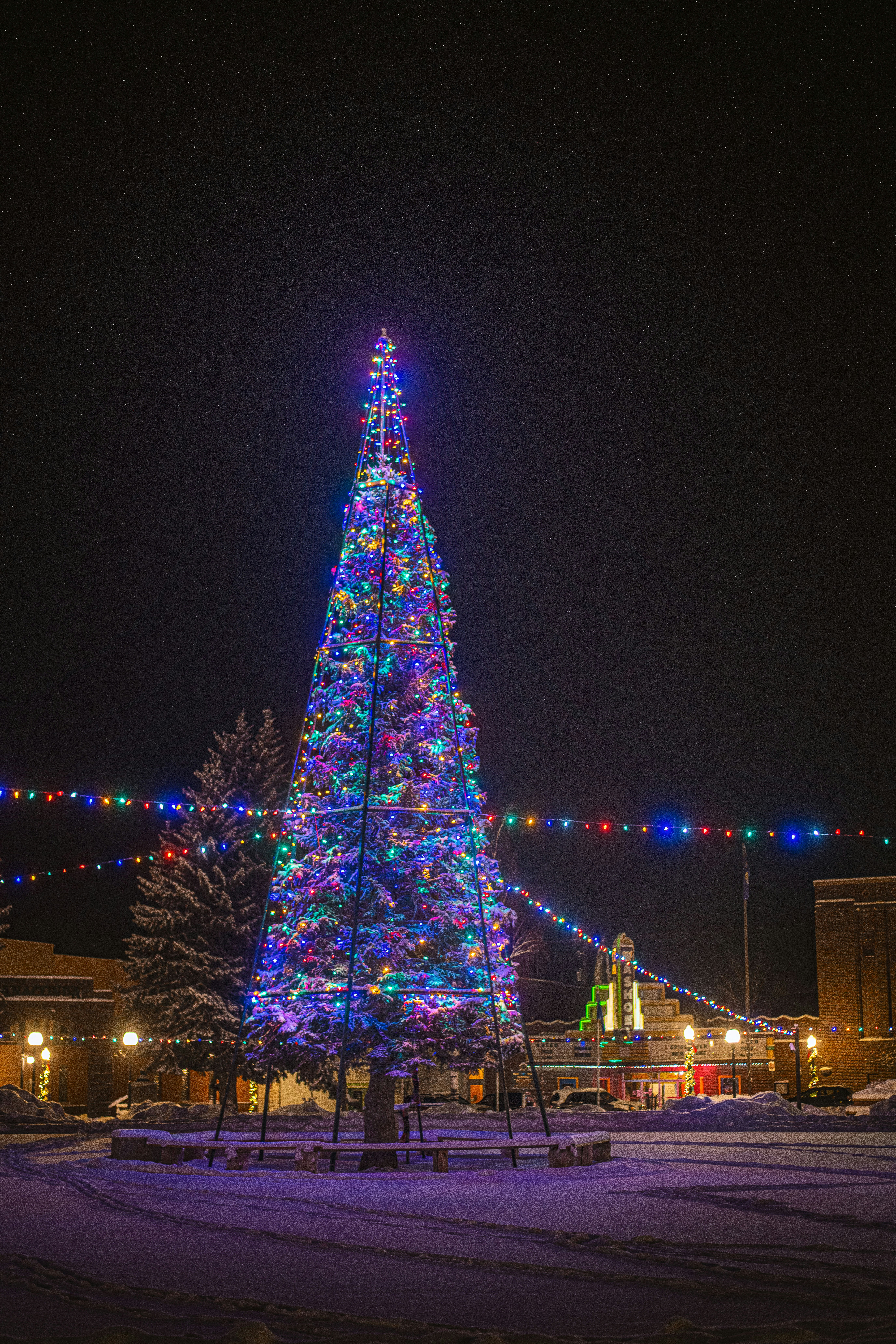 a brightly lit christmas tree in the middle of a snowy field