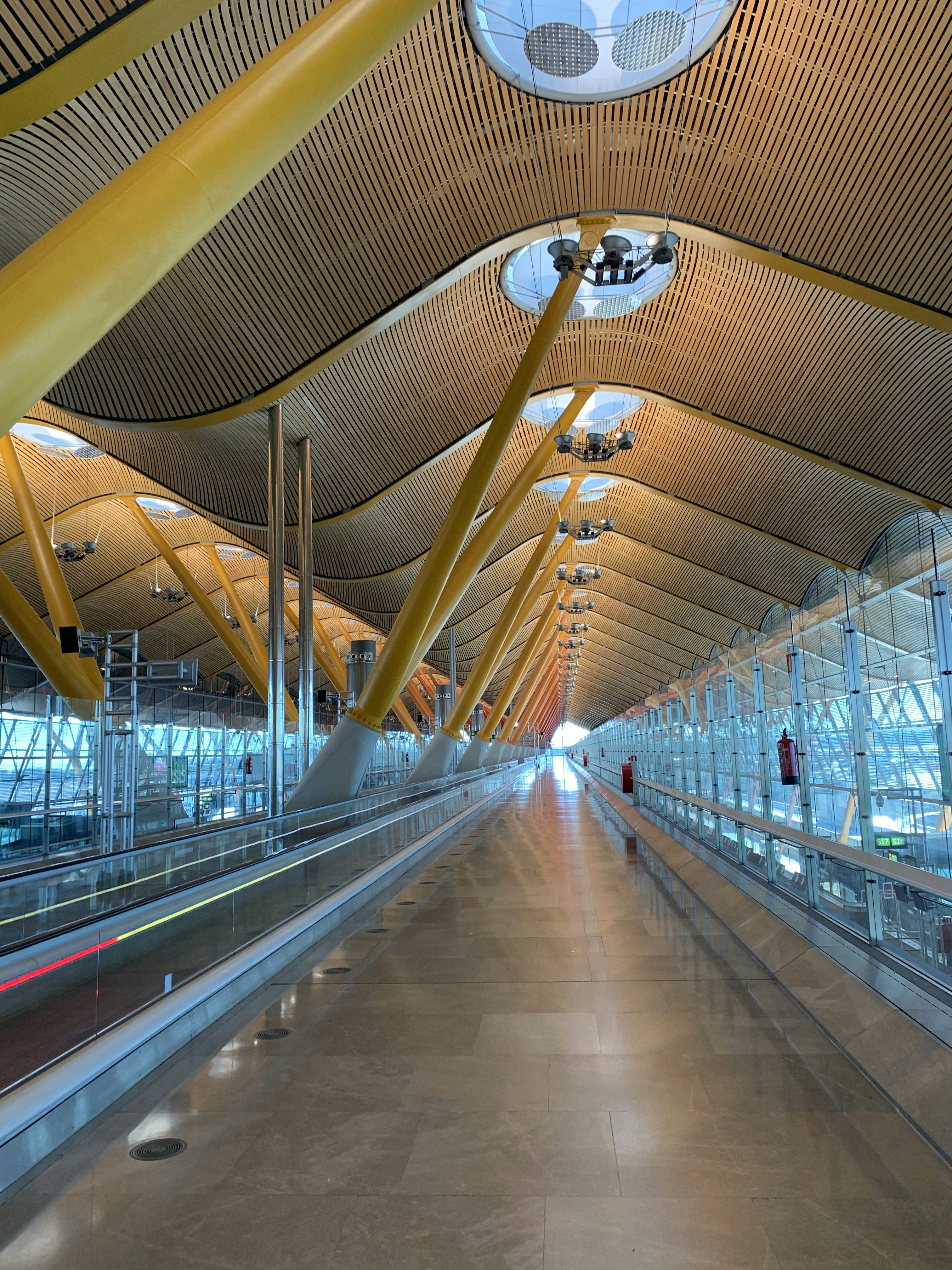 Interior of a contemporary airport terminal showcasing a sweeping wooden ceiling and sleek glass walls, emphasizing spaciousness and design innovation.